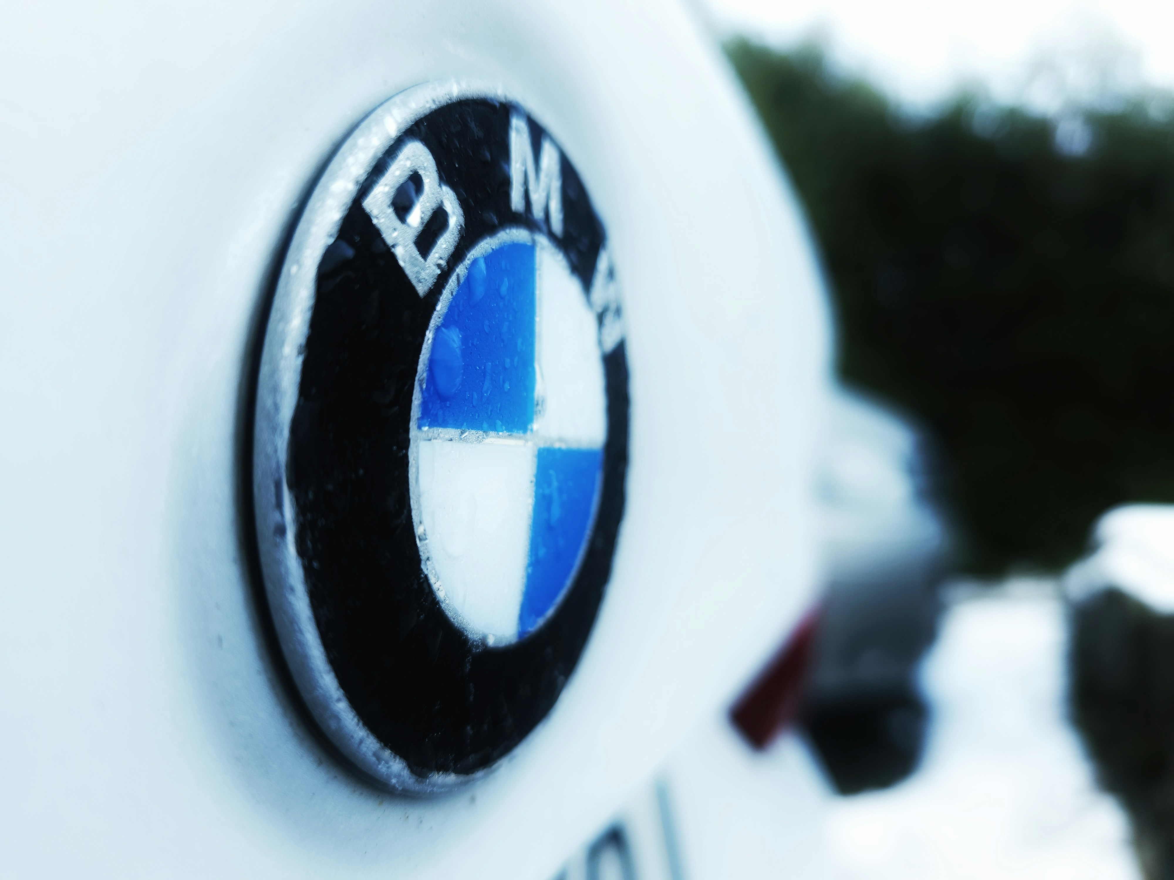 Frozen Emblem on a Snow-Kissed BMW Hood