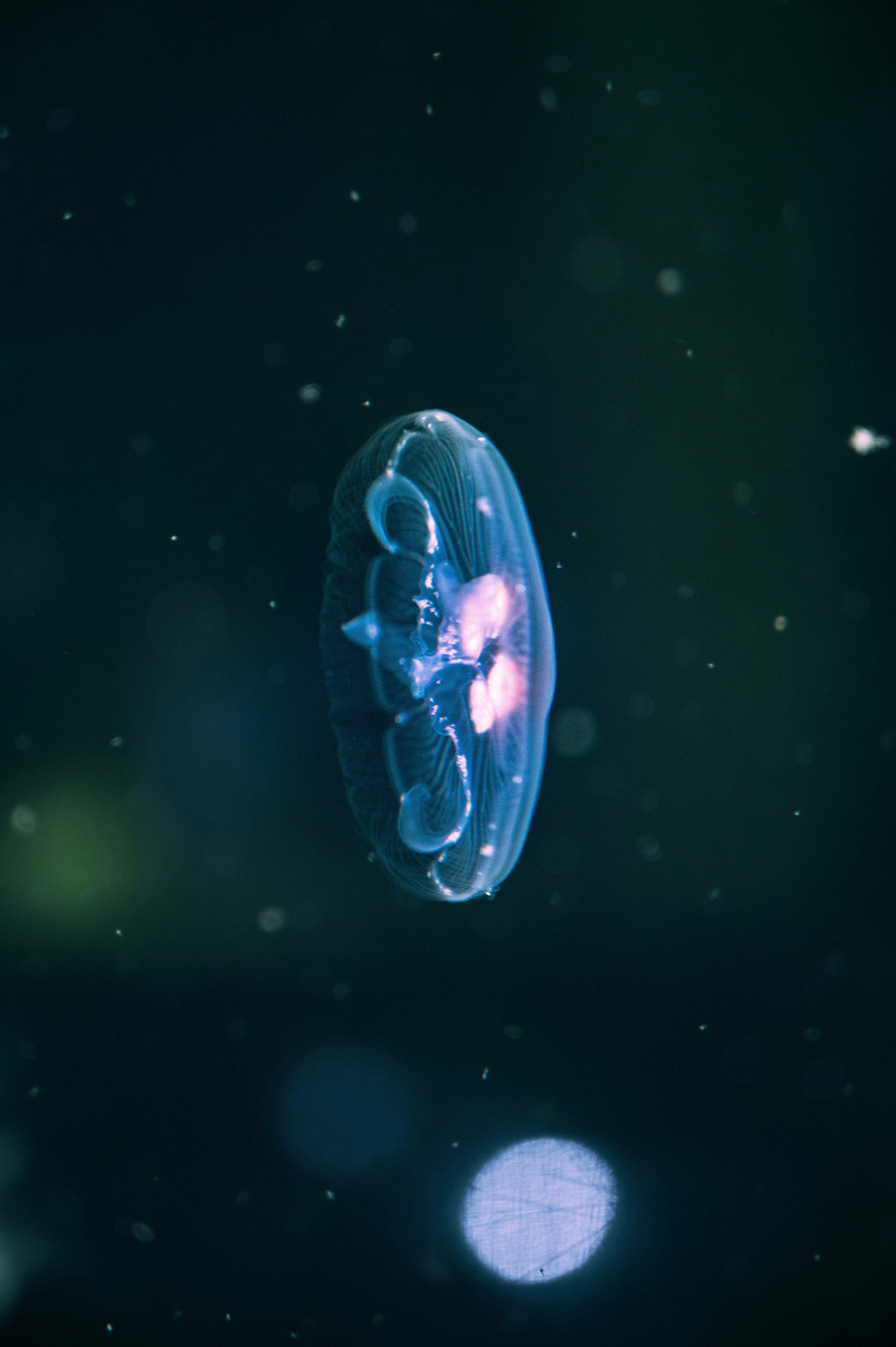 Alexandre Bazin (@wuttend) | Unsplashフォトコミュニティ