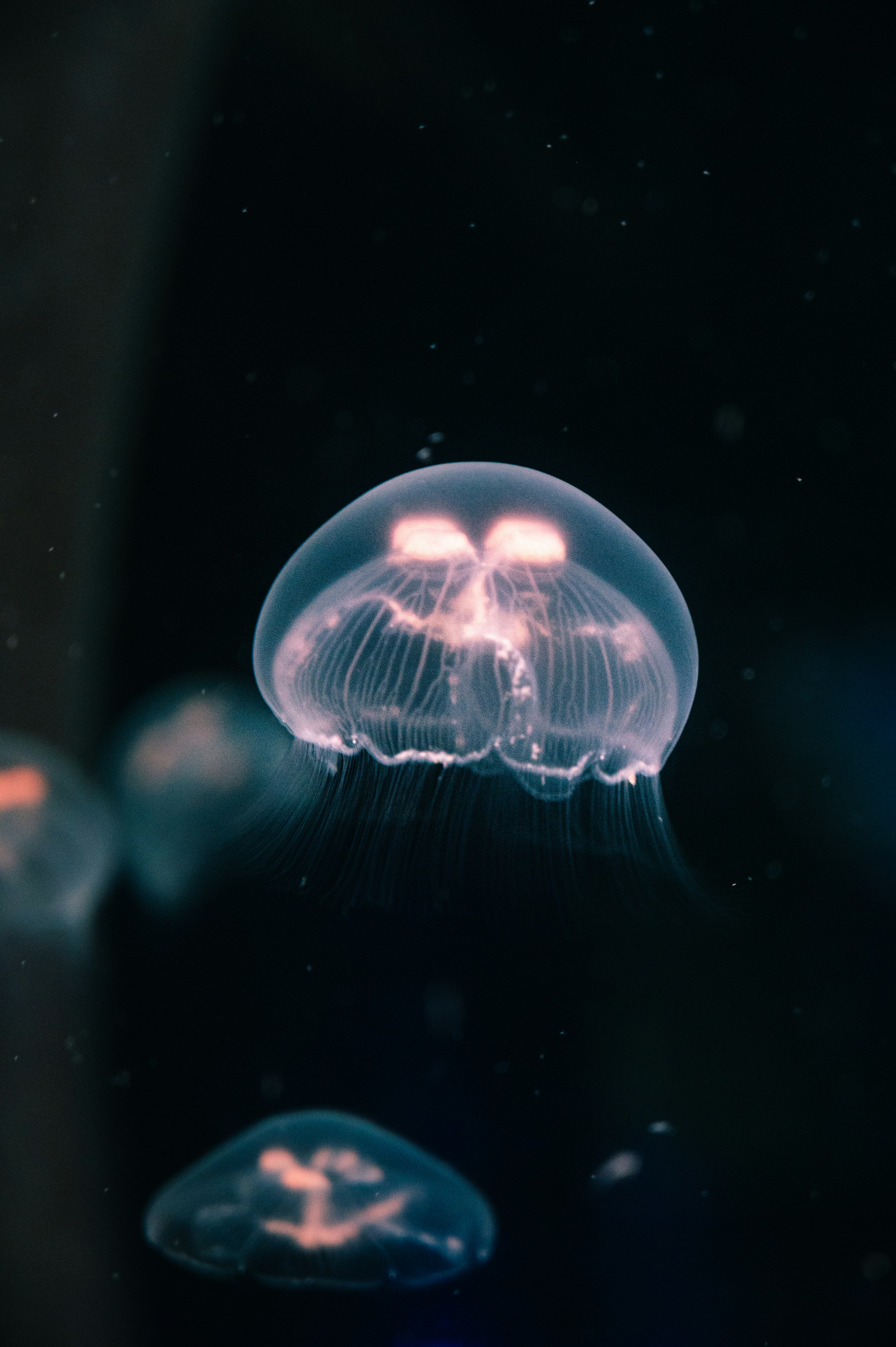 Alexandre Bazin (@wuttend) | Unsplashフォトコミュニティ