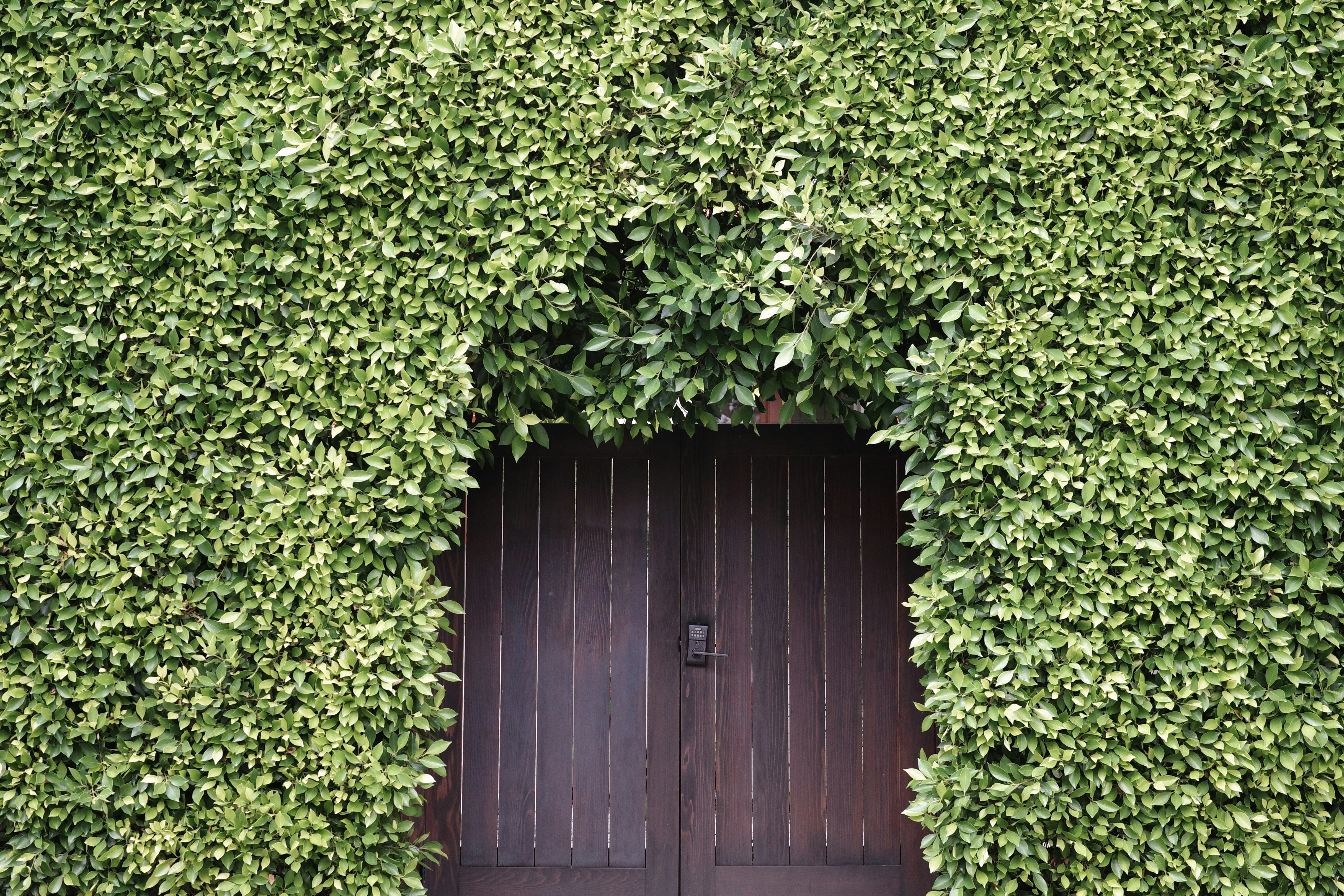 Photo by Sean Davis with Ricoh GR IIIx