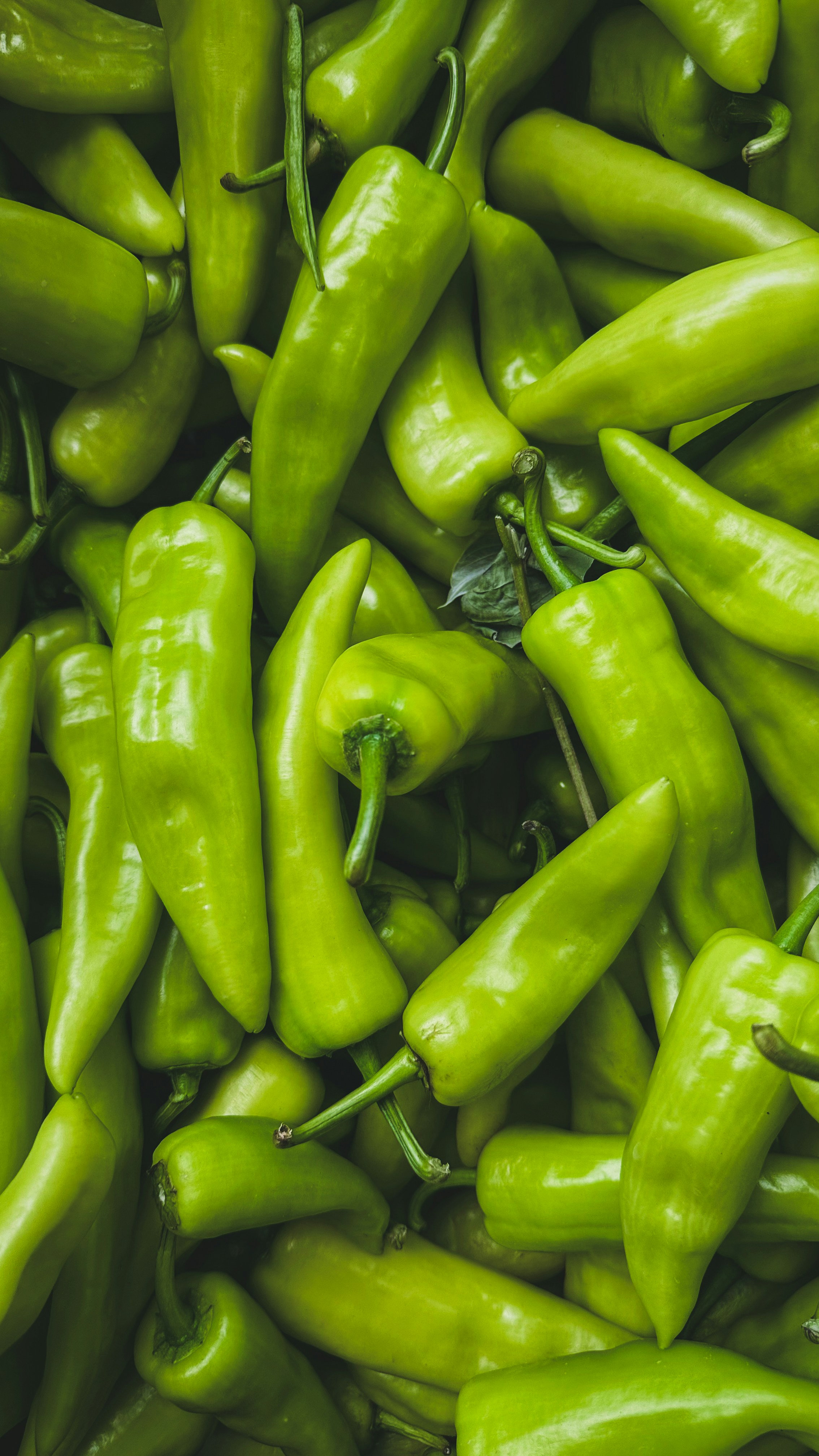 999+ Green Chilli Pictures | Download Free Images on Unsplash