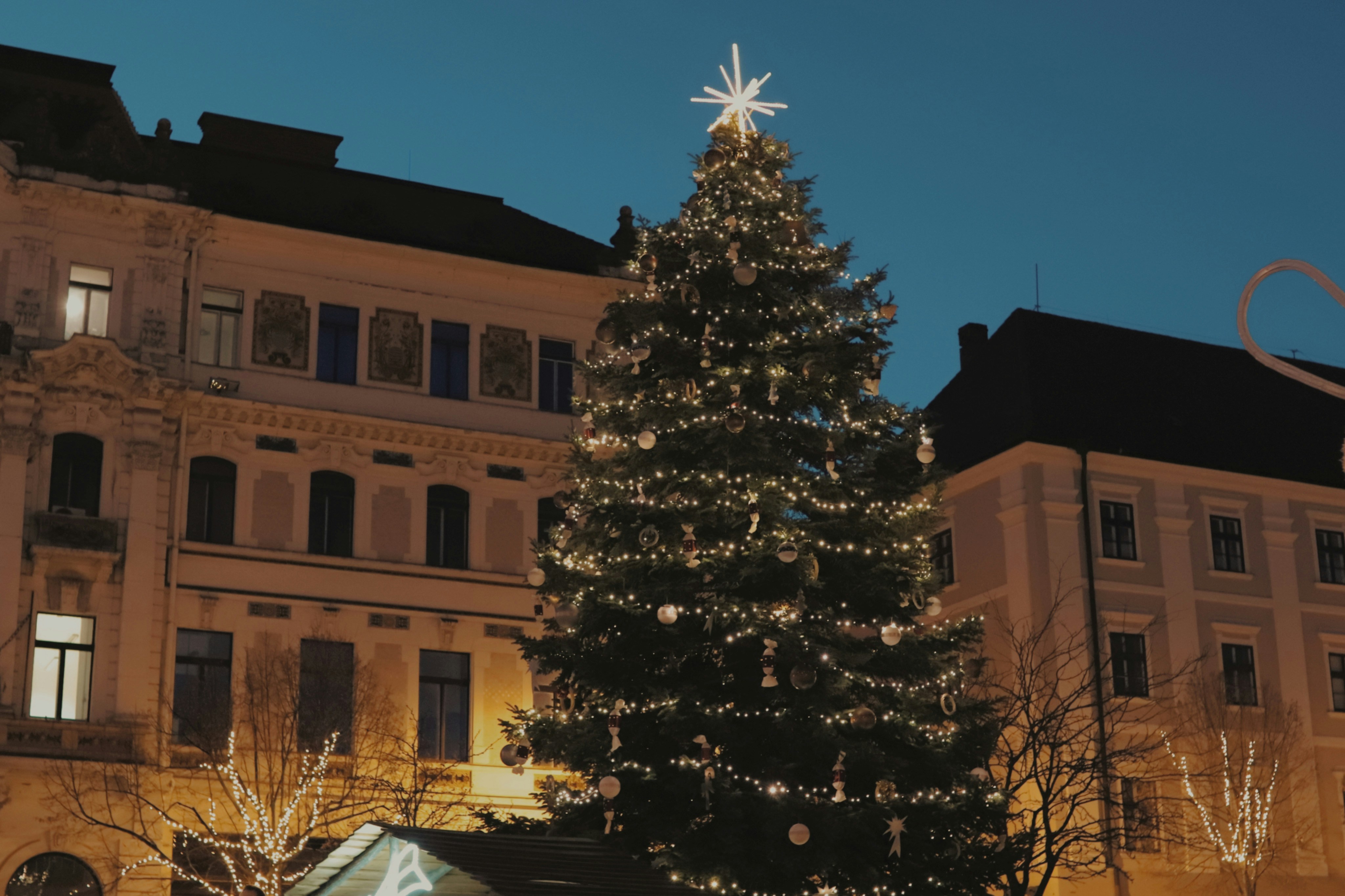 A lit christmas tree in front of a building photo – Free Christmas ...