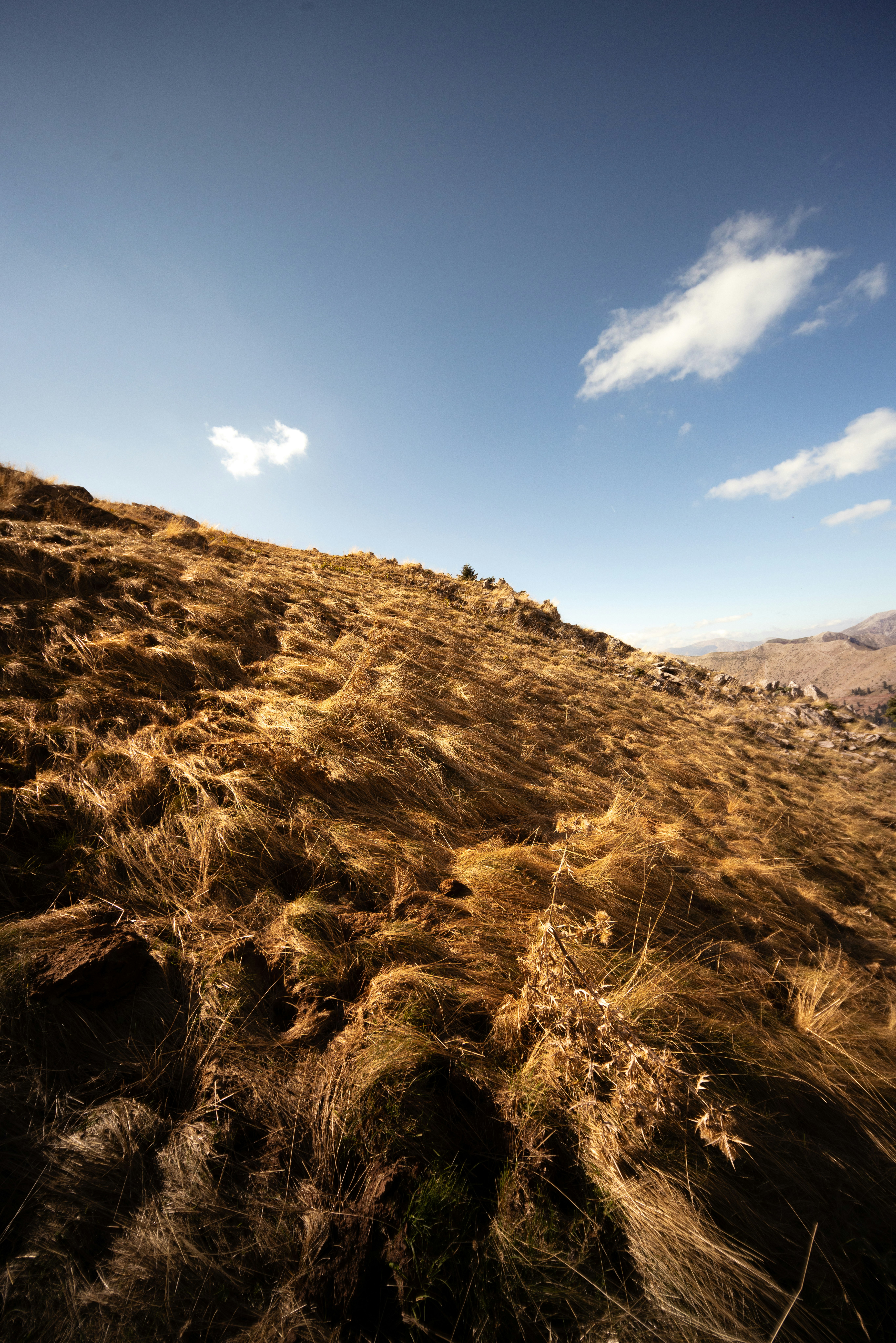 A grassy hill with a blue sky in the background photo – Free Agrafa ...