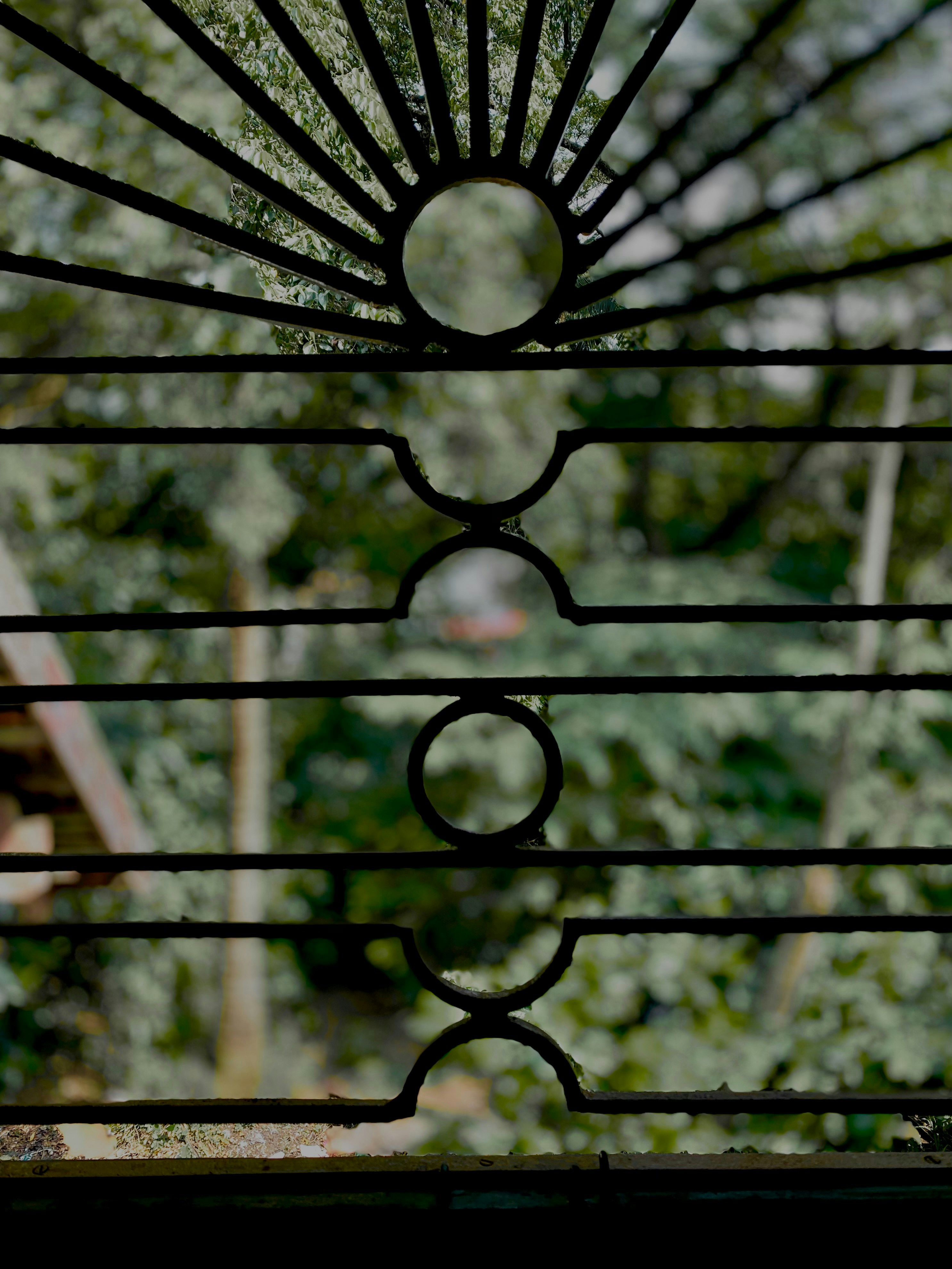 Circular Lattice in Focus: Ironwork Framing a Garden Blur