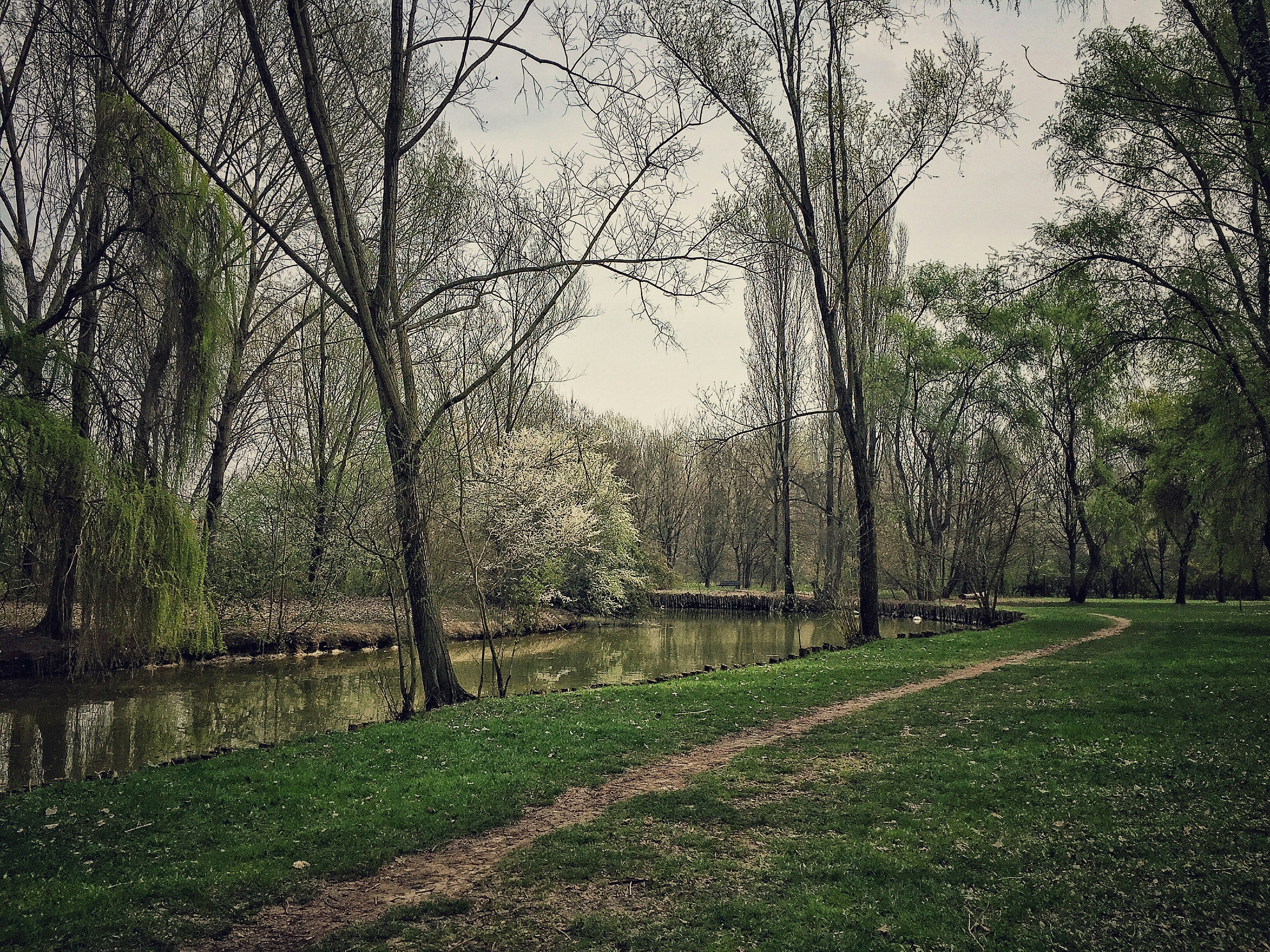 Photo by Matteo Bersan with Apple iPhone 6