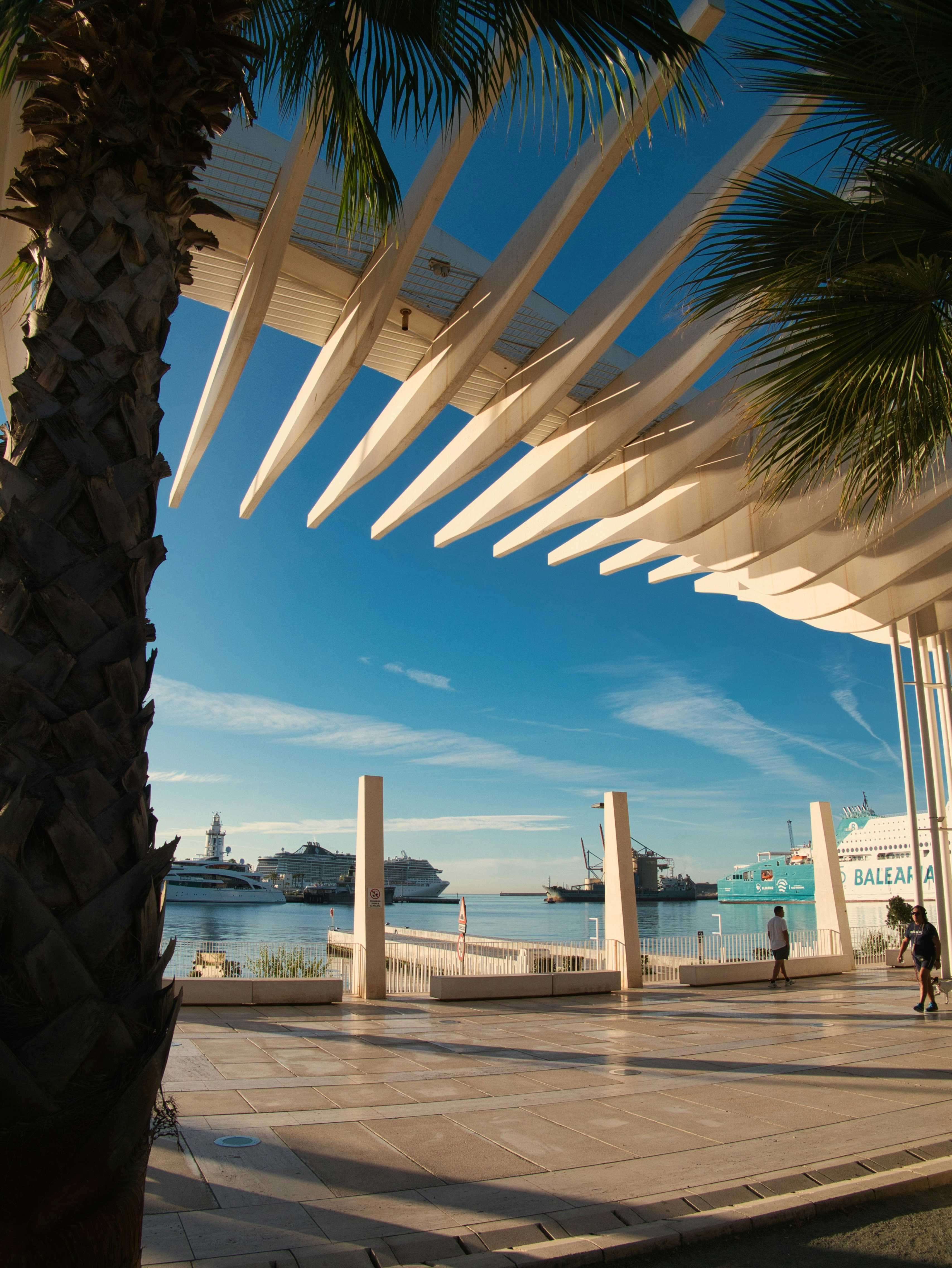 Splayed Rib Canopy Over a Palm-Fringed Marina