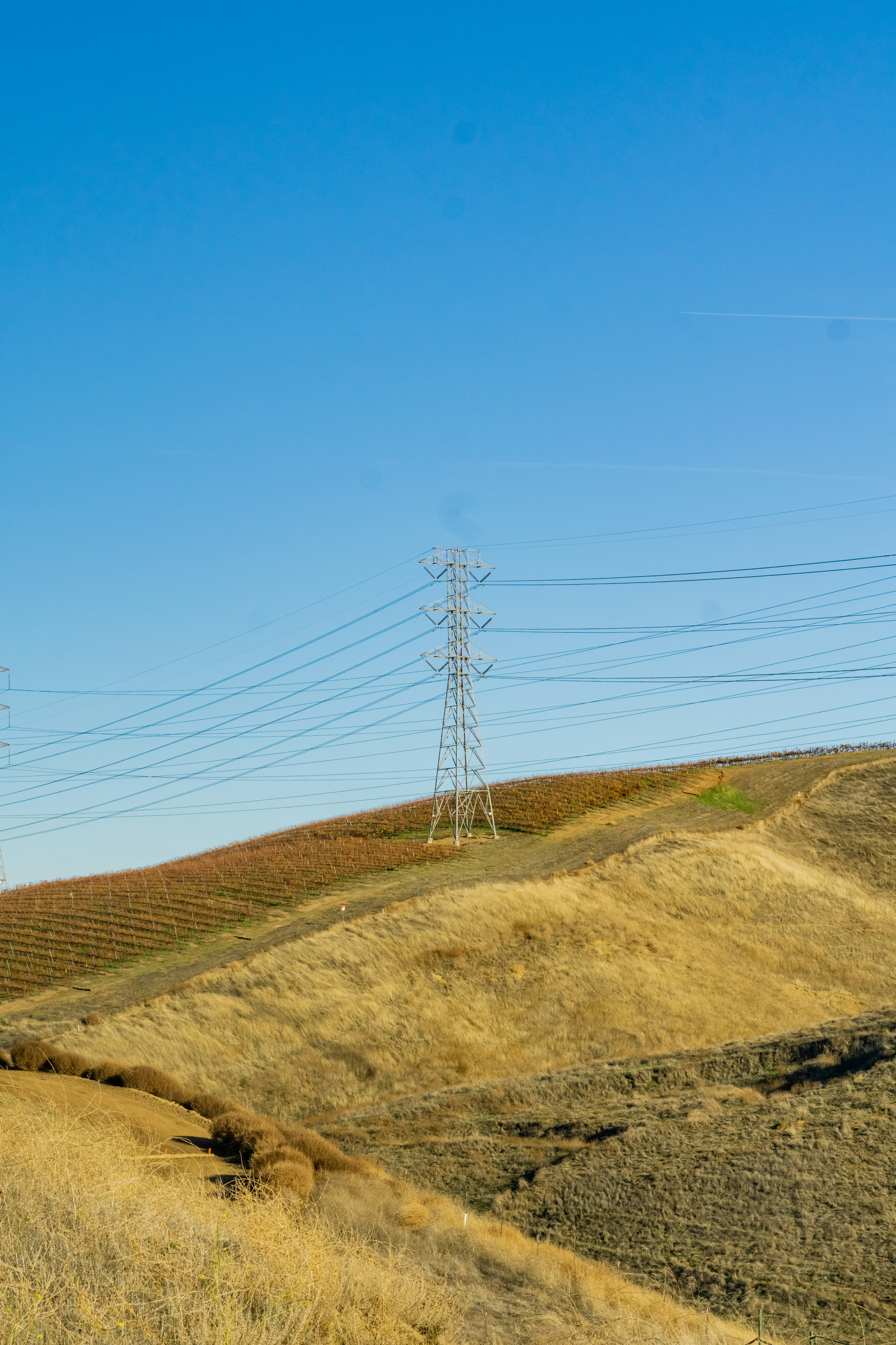 A grassy hill with power lines in the distance photo – Free Ca Image on ...