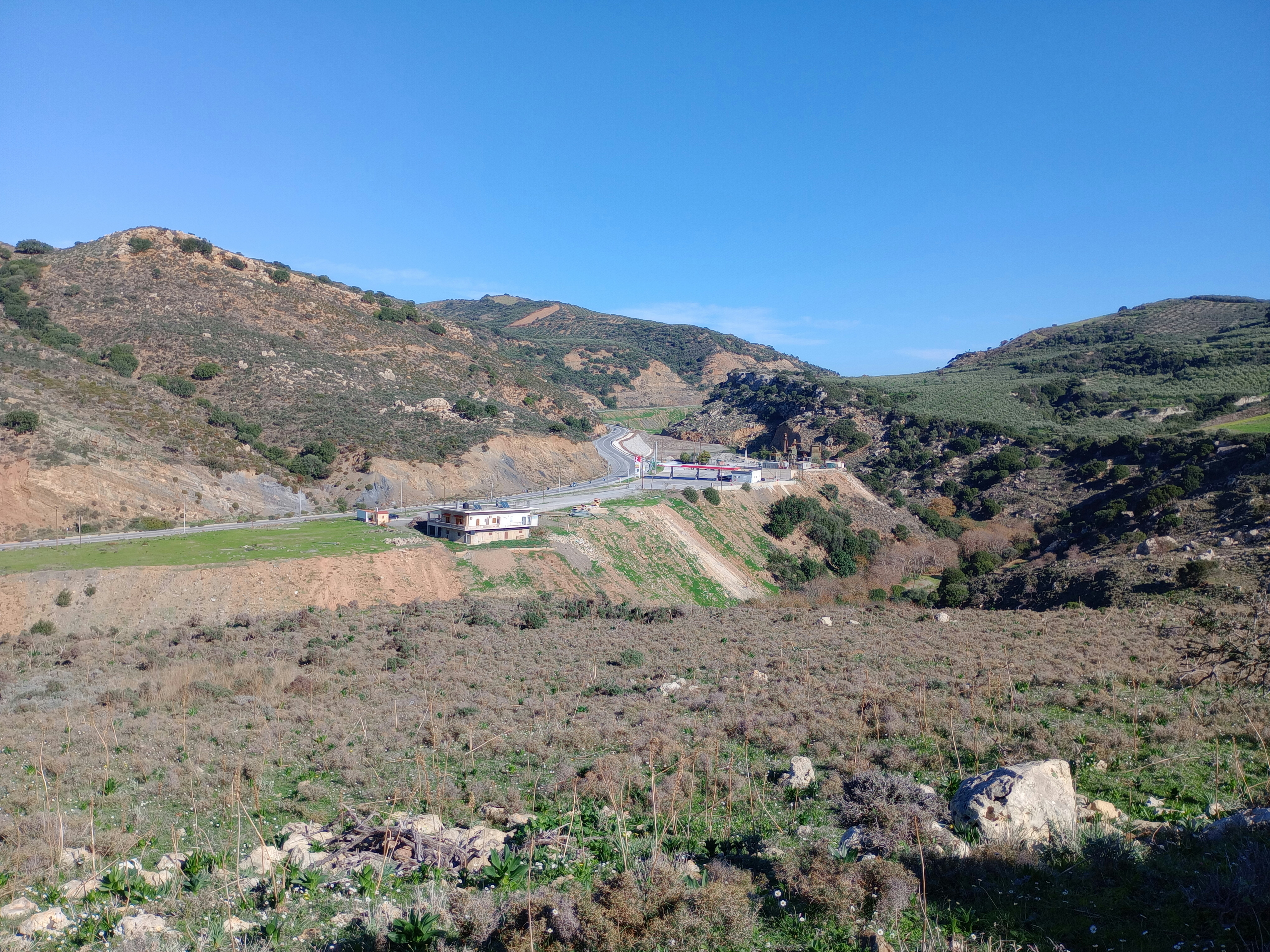 Pikmin 1 Valley Of Repose Pictures | Download Free Images on Unsplash