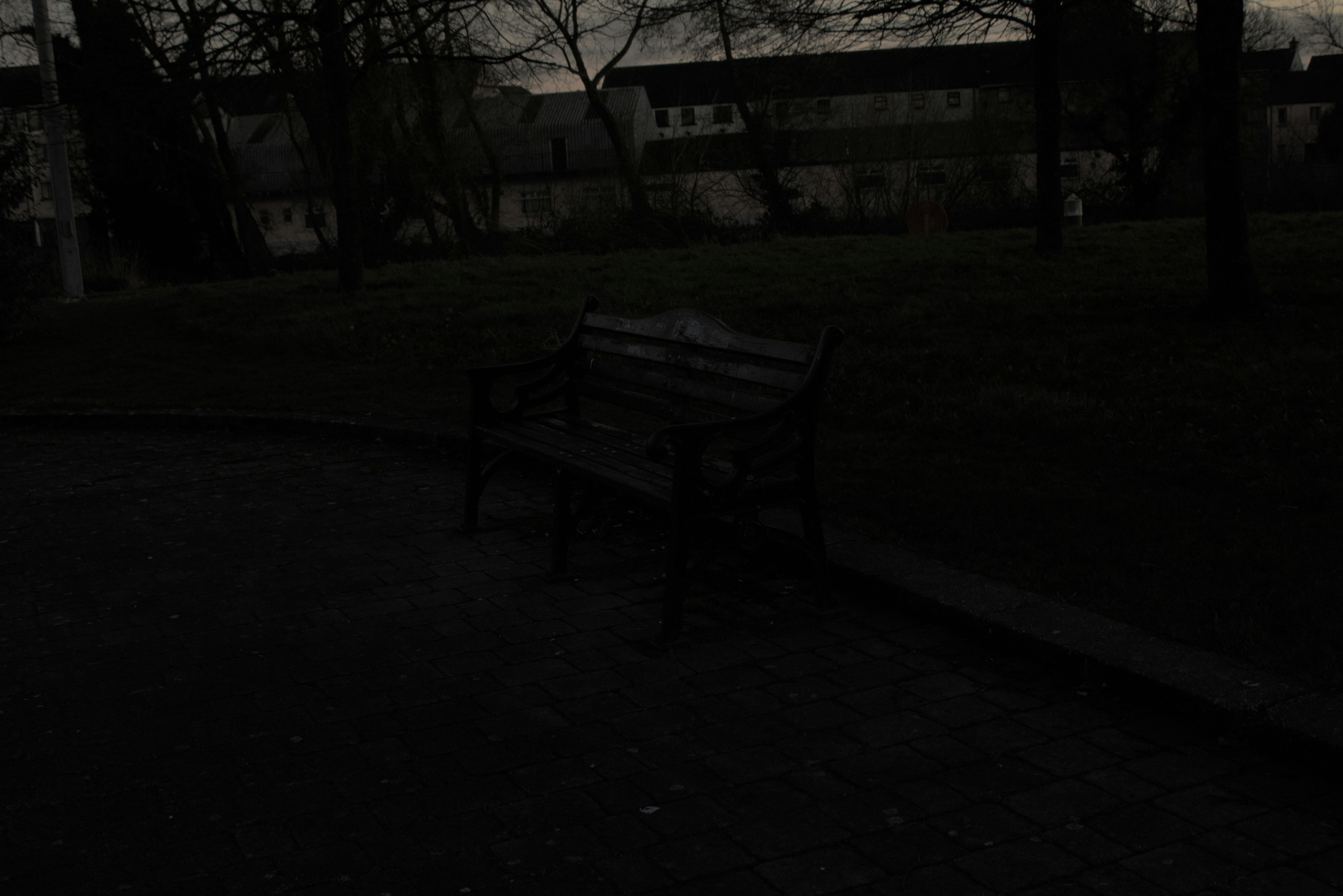 Dusk-Whispered Bench: A Lone Seat in the Quiet Park