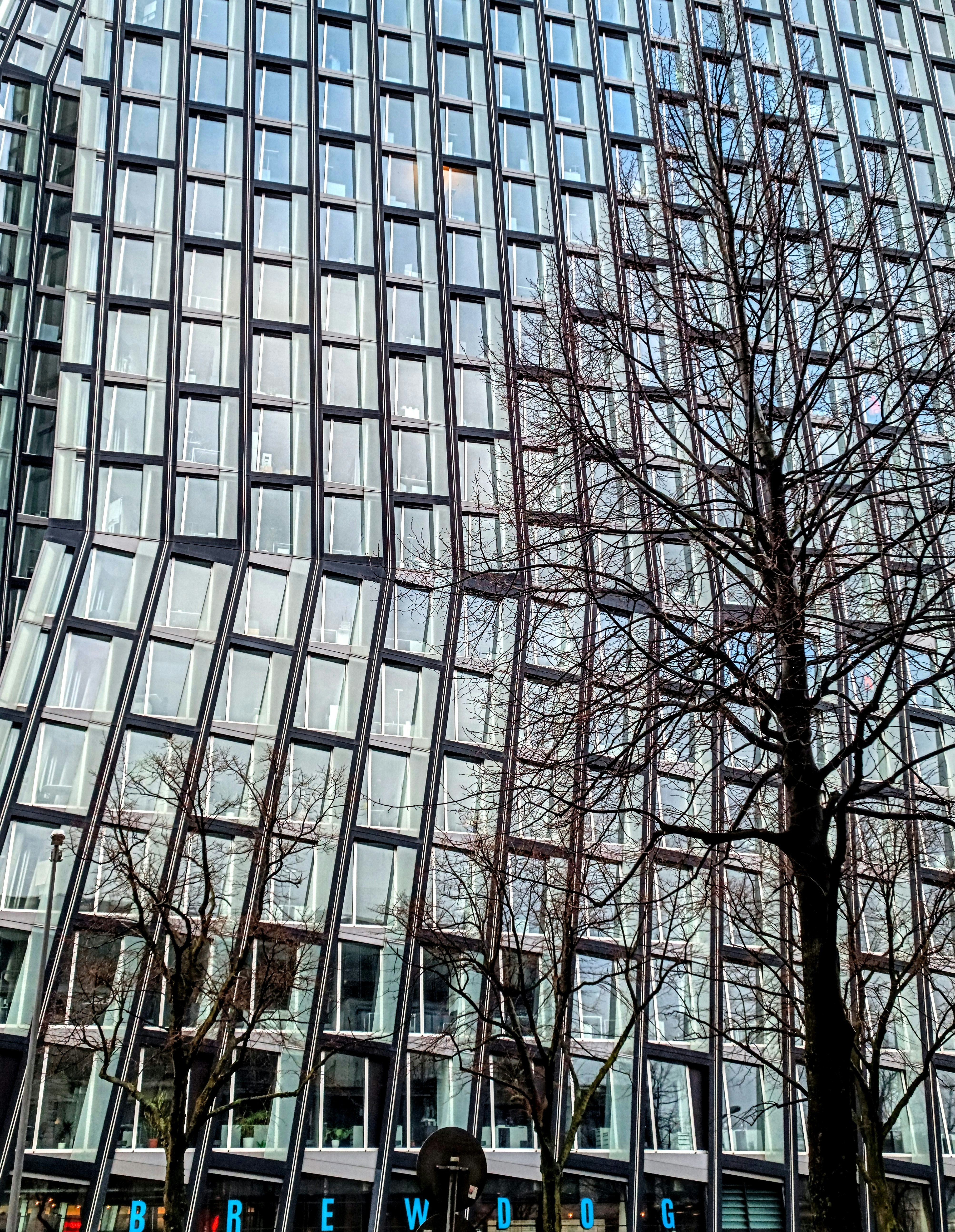 Photo by Guillermo Scharffenorth with Xiaomi Mi 11T