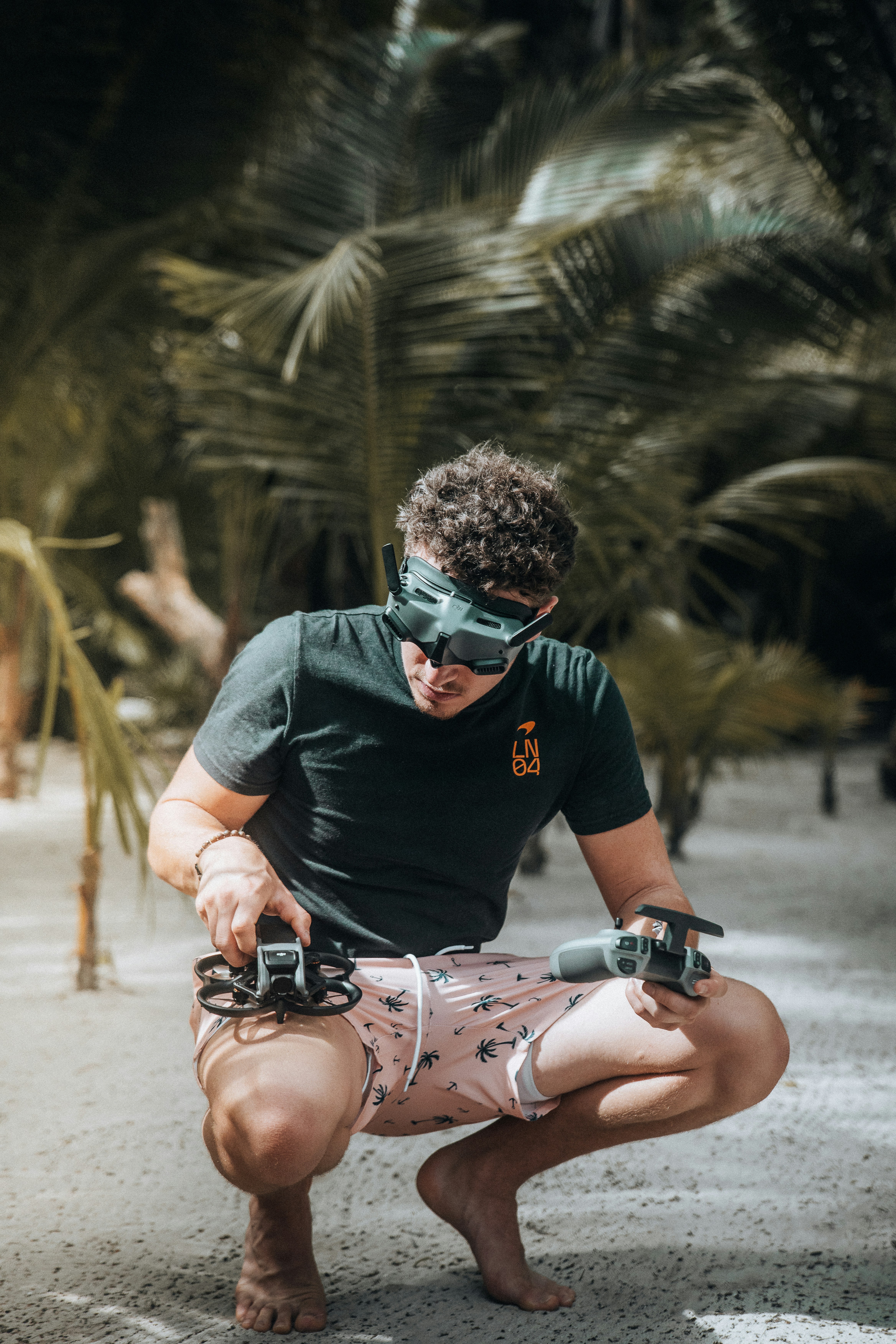 Juvenile drone explorer in a sunlit tropical grove