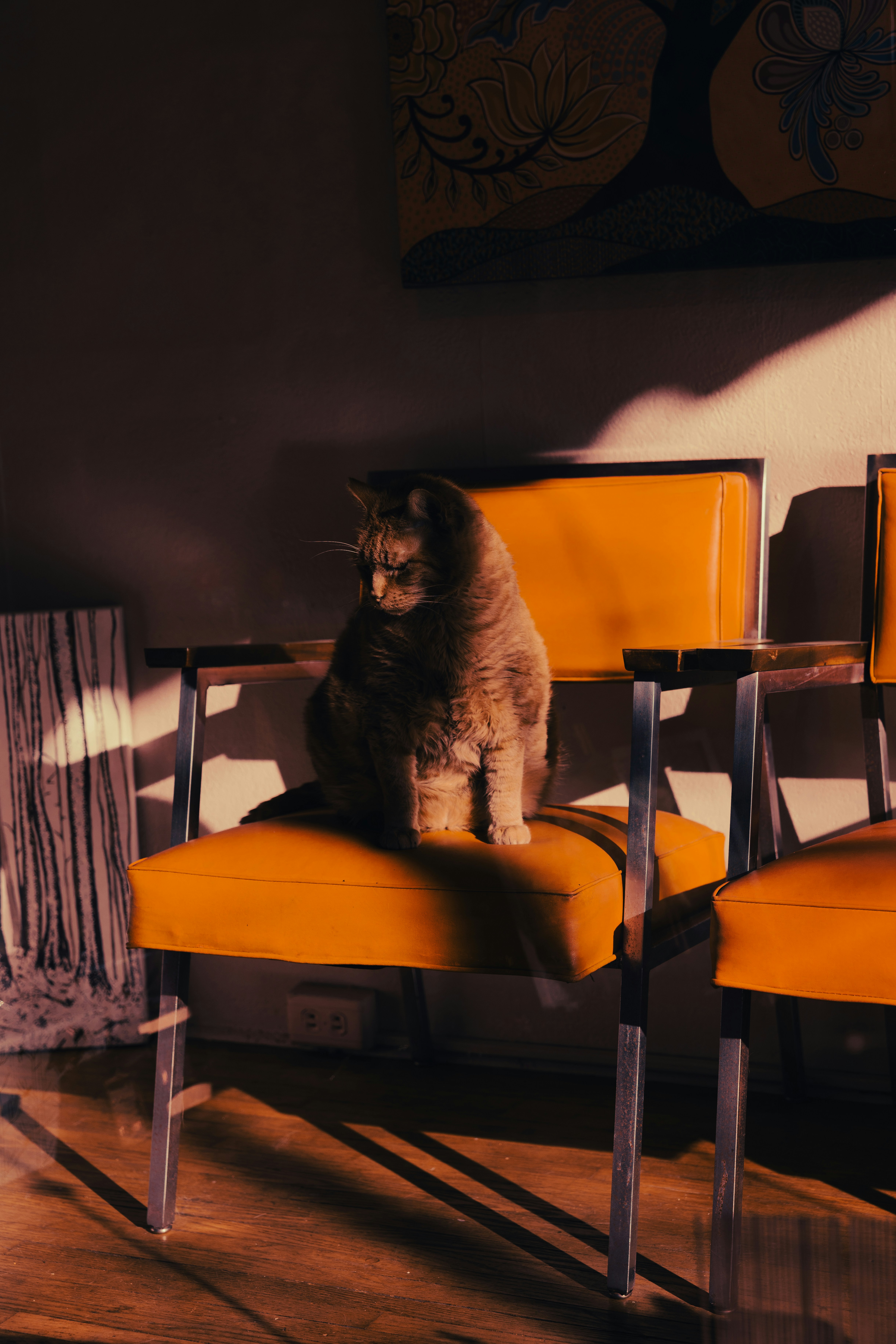 Photo by Nellie Adamyan with Sony Alpha 7R IIIA