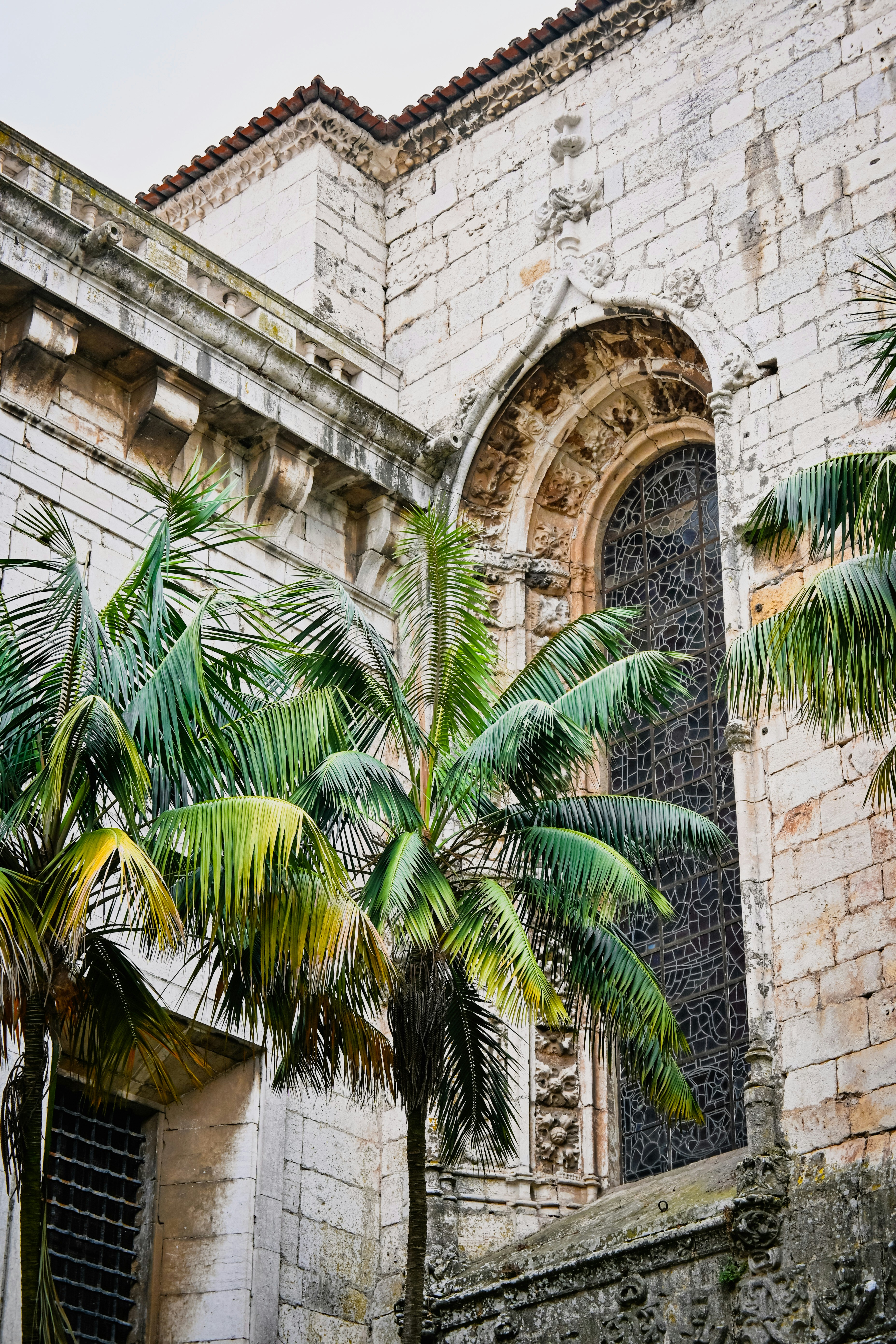 Palm-Framed Arch: Weathered Stone Facade Under Tropical Light