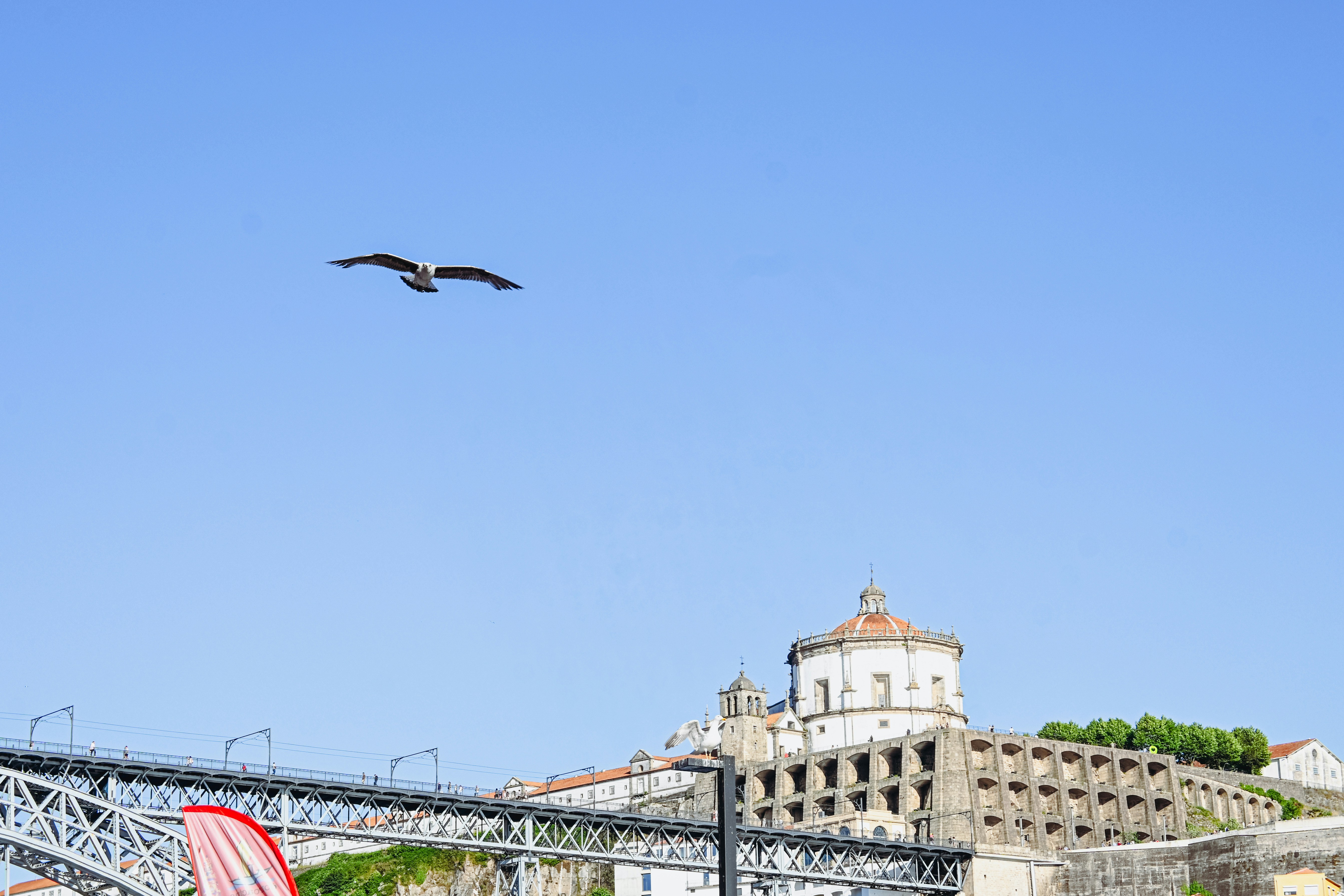 Seabird in Flight Over a Historic Bridge Beneath a Cerulean Sky