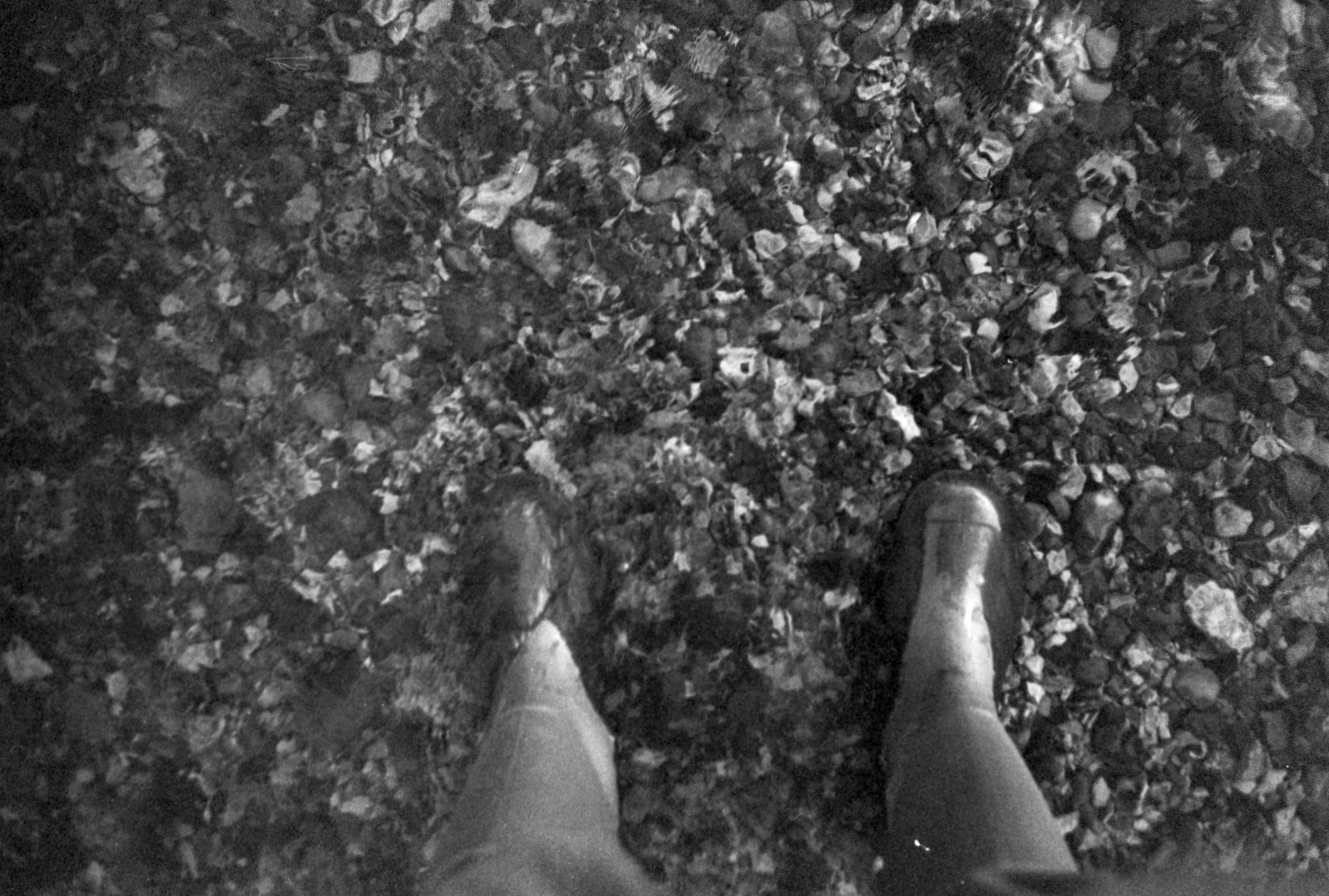 Hudlearound The Ground Pictures | Download Free Images on Unsplash