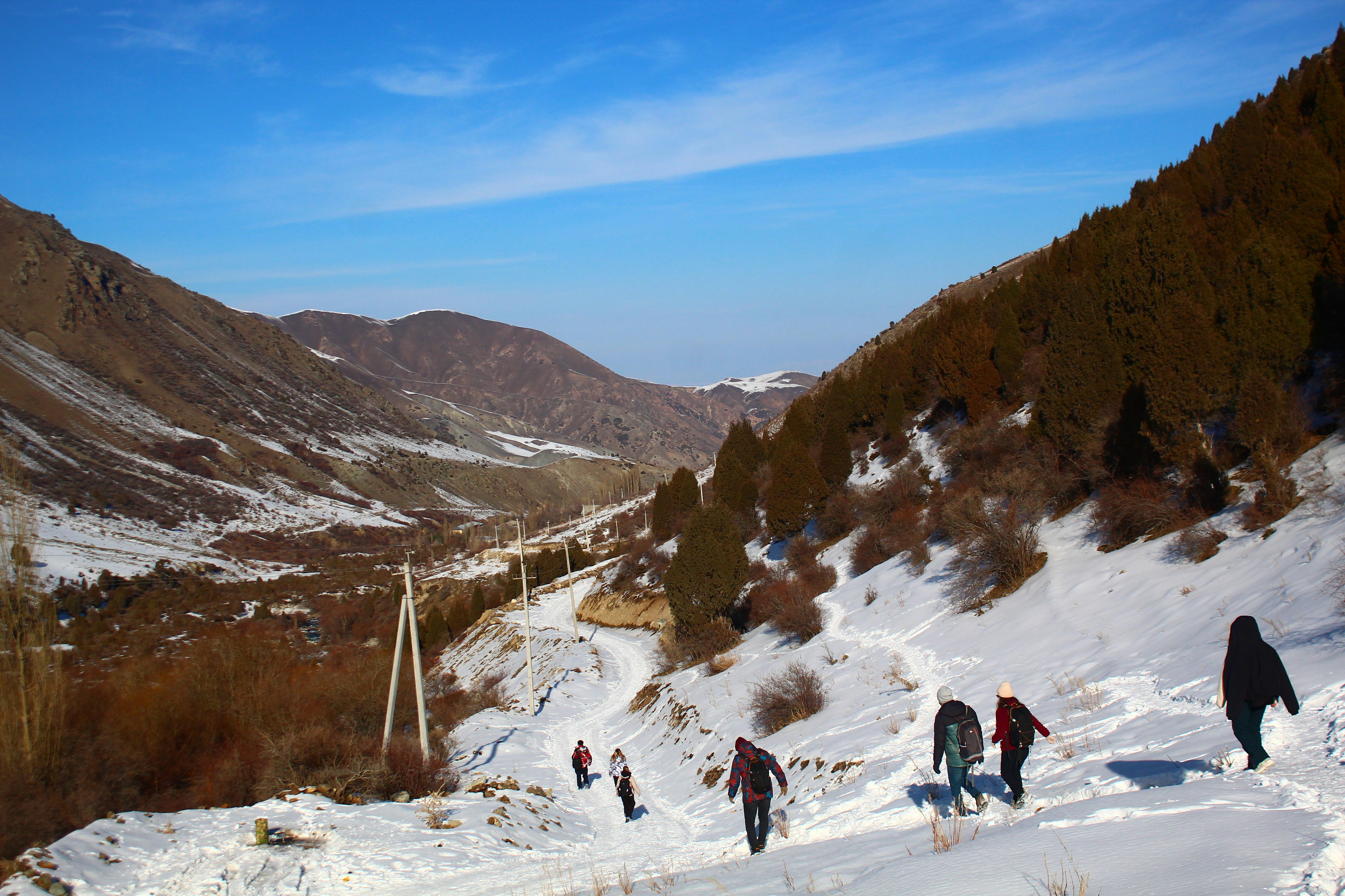 Snowbound Valley Crossing: Hikers Trek a Sunlit Alpine Corridor
