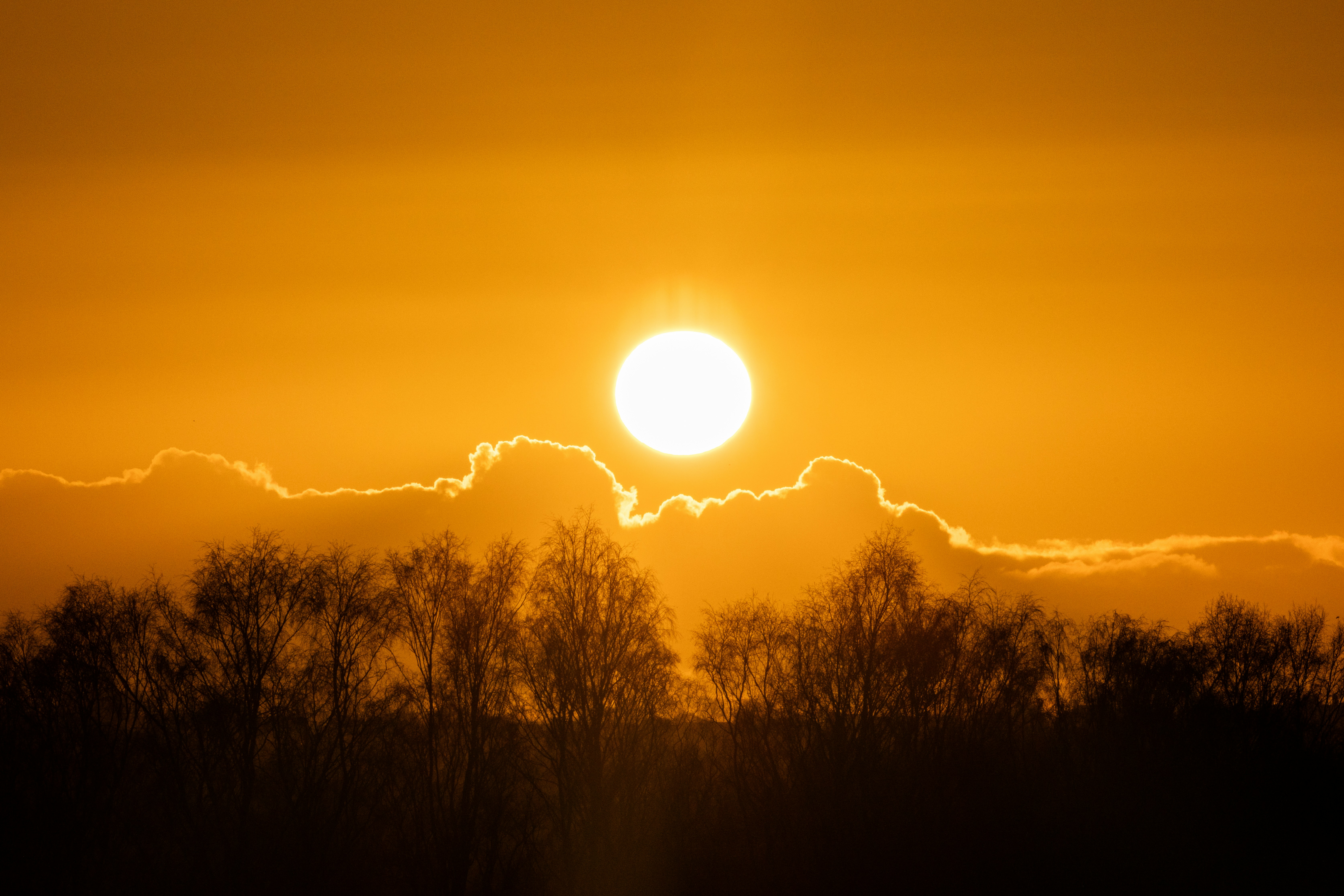 The sun is setting over the trees in the distance photo – Free Sunset ...