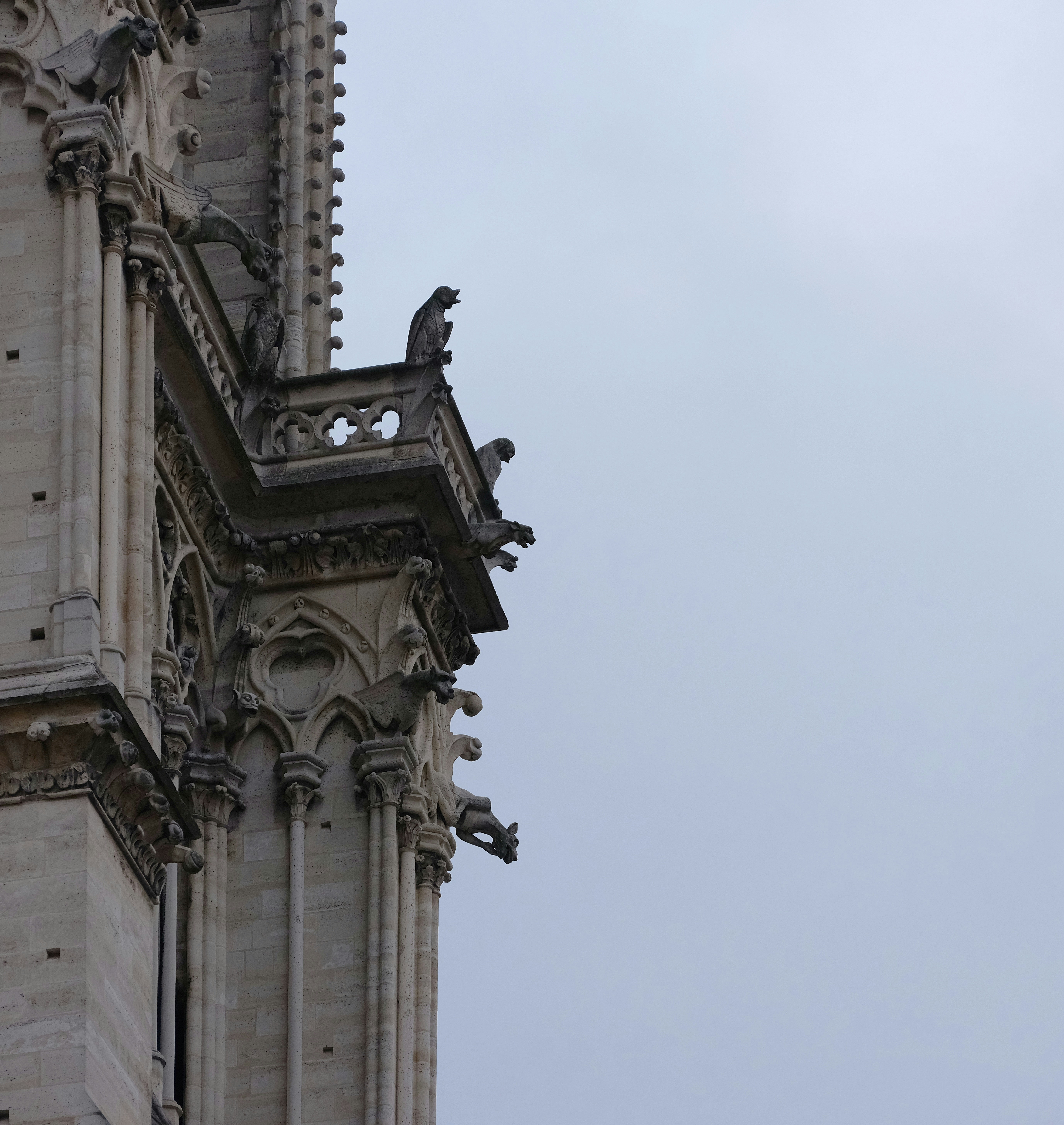 Notre Dame, Gargoyles, Paris