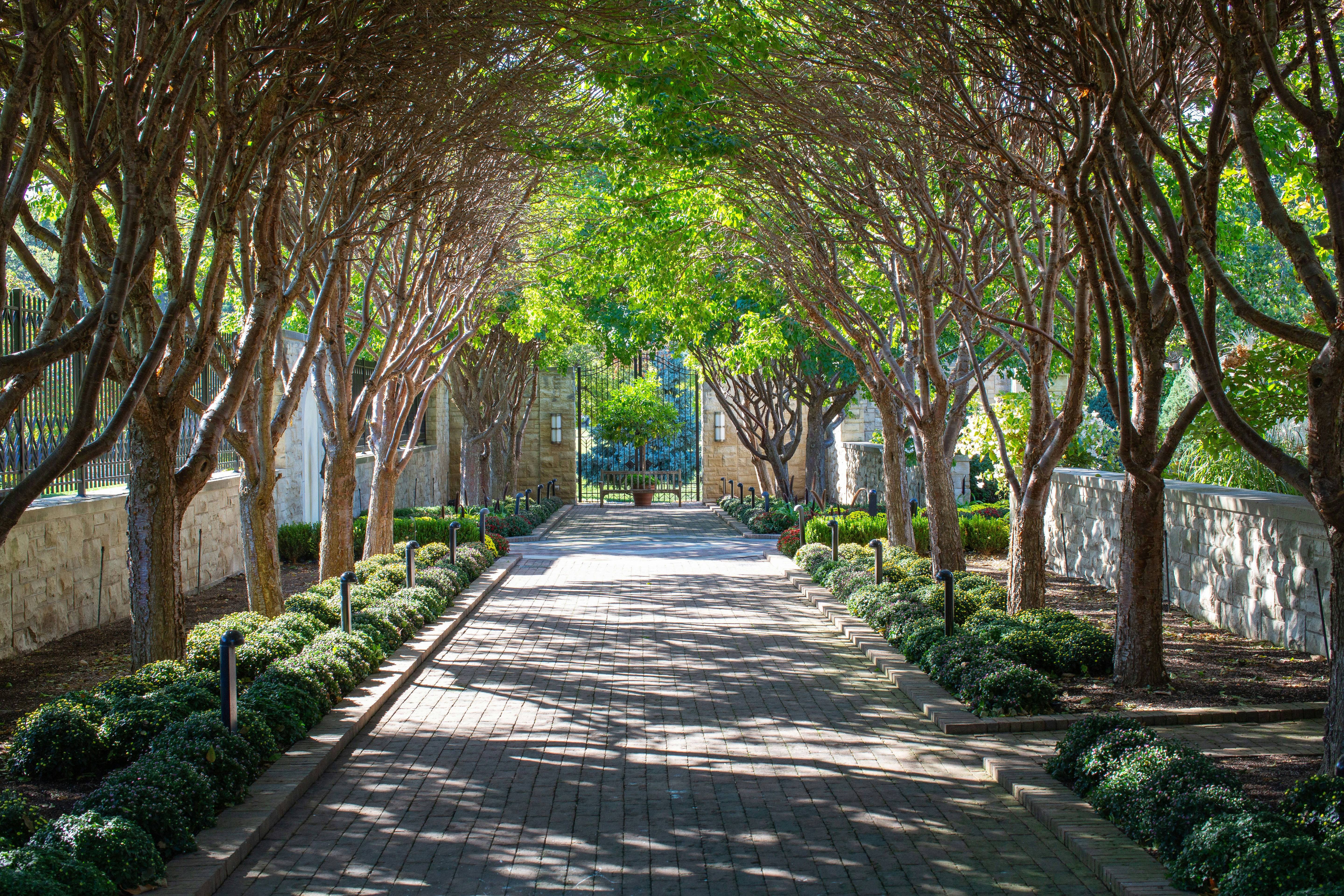 Lush tree-lined pathway leading to a serene garden, framed by stone walls and manicured hedges.