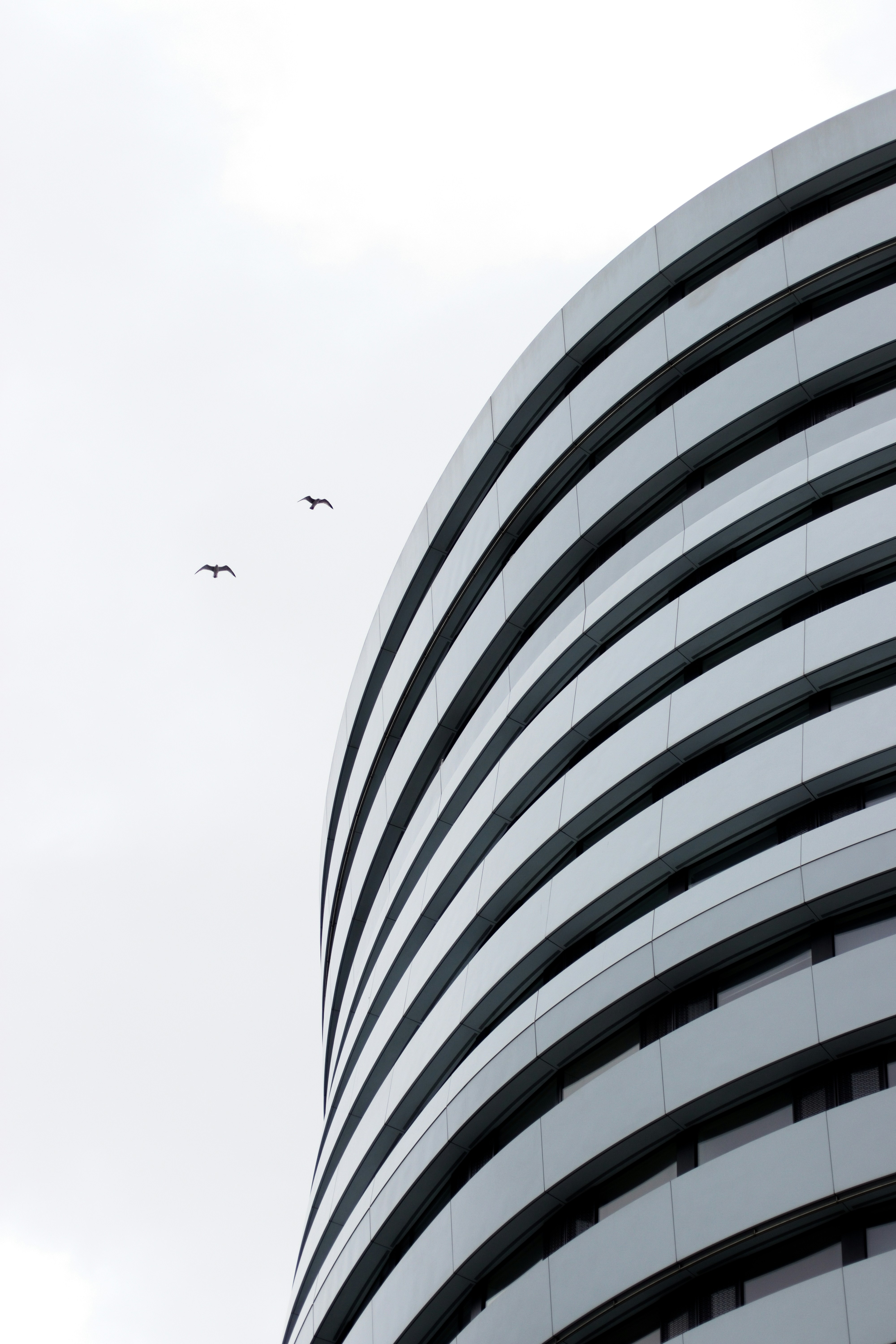 Arching Glass Ribbon Against a Pale Sky