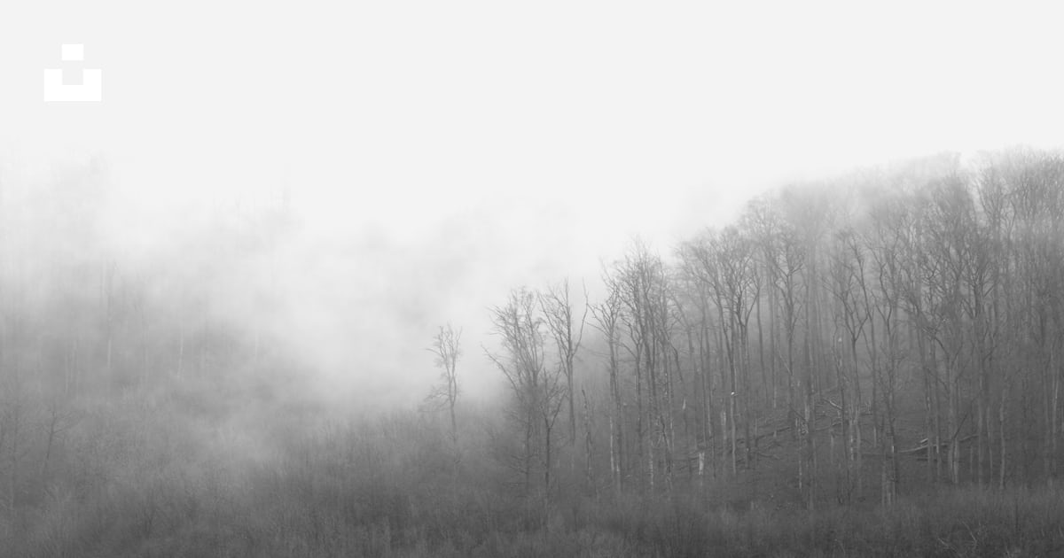 A Black And White Photo Of A Foggy Field Photo Free 33034 Brakel Image On Unsplash