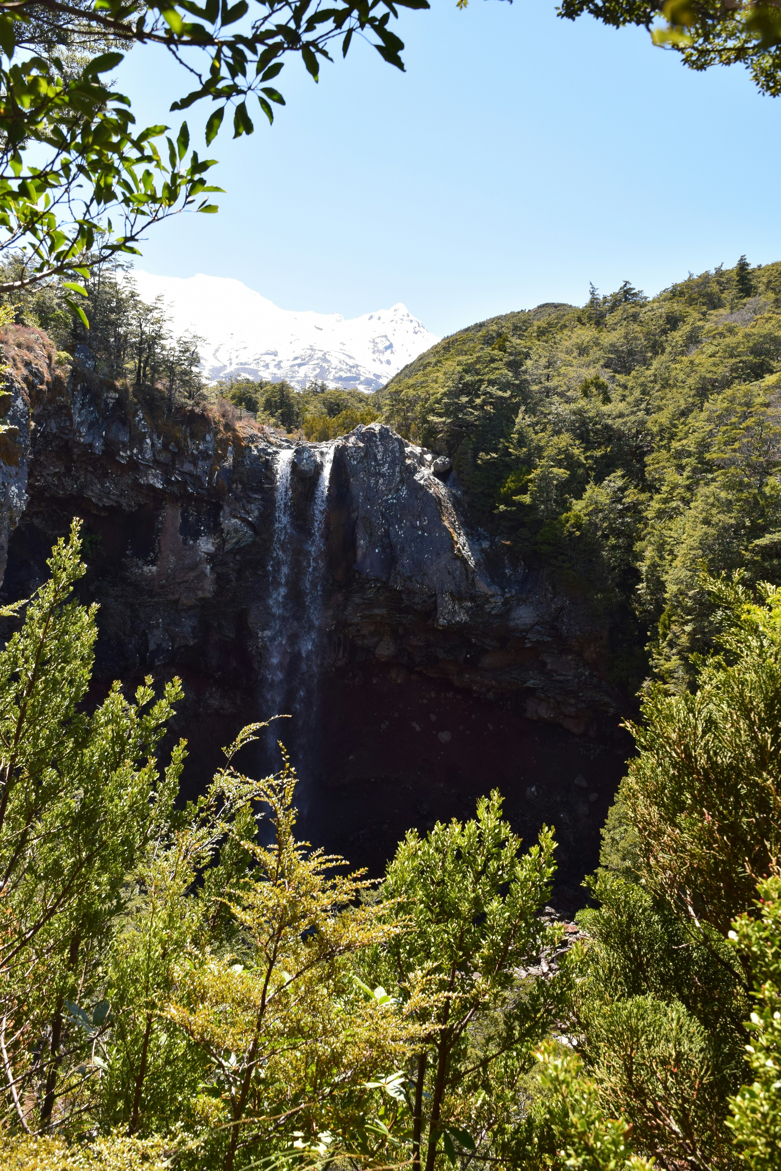 Cascade Veil Within a Pine-Fringed Gorge Under Alpine Skies