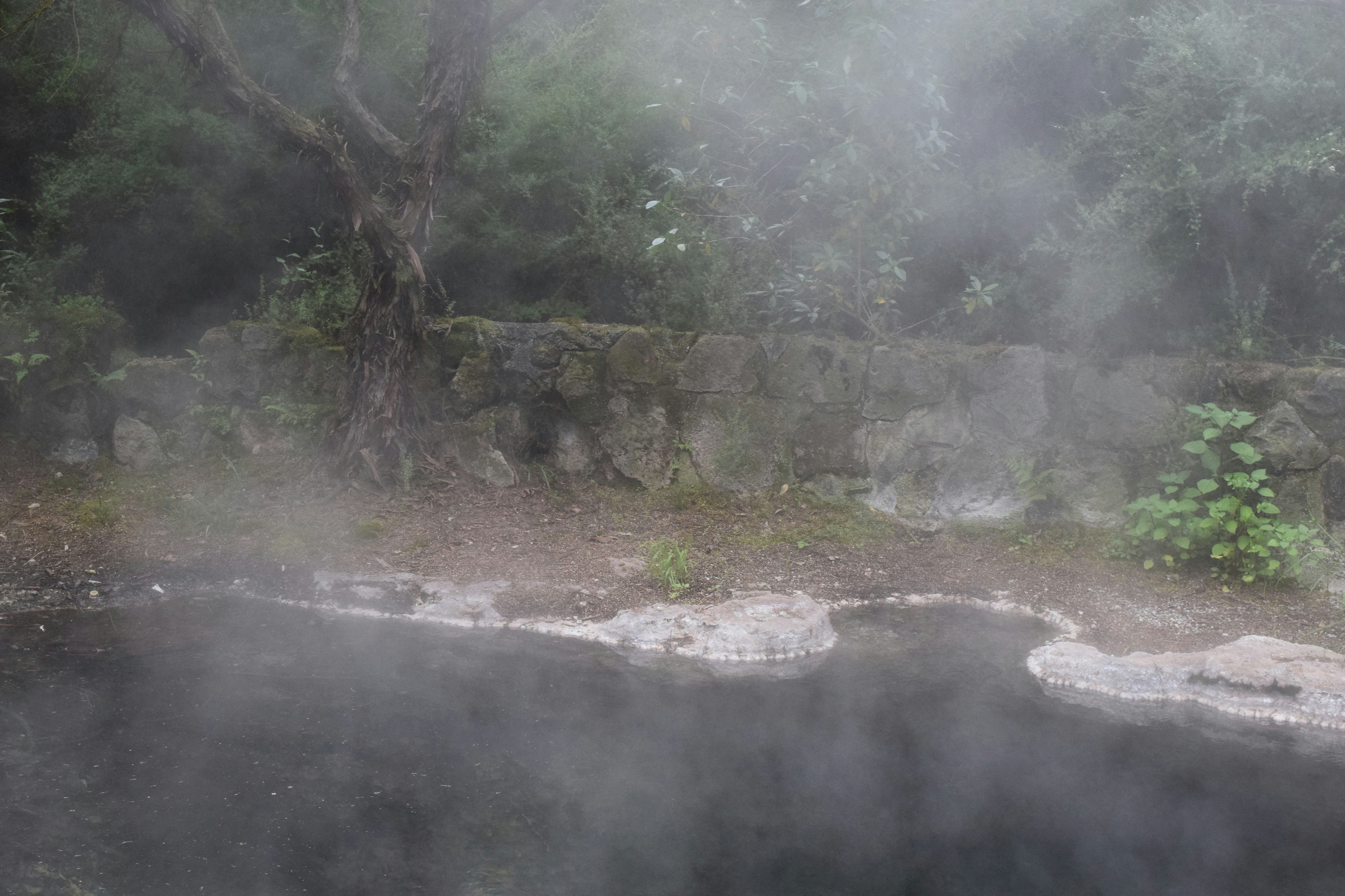 Steam rises from a tranquil hot spring, framed by lush greenery and an ancient stone wall. The atmosphere evokes a sense of serenity and natural beauty.