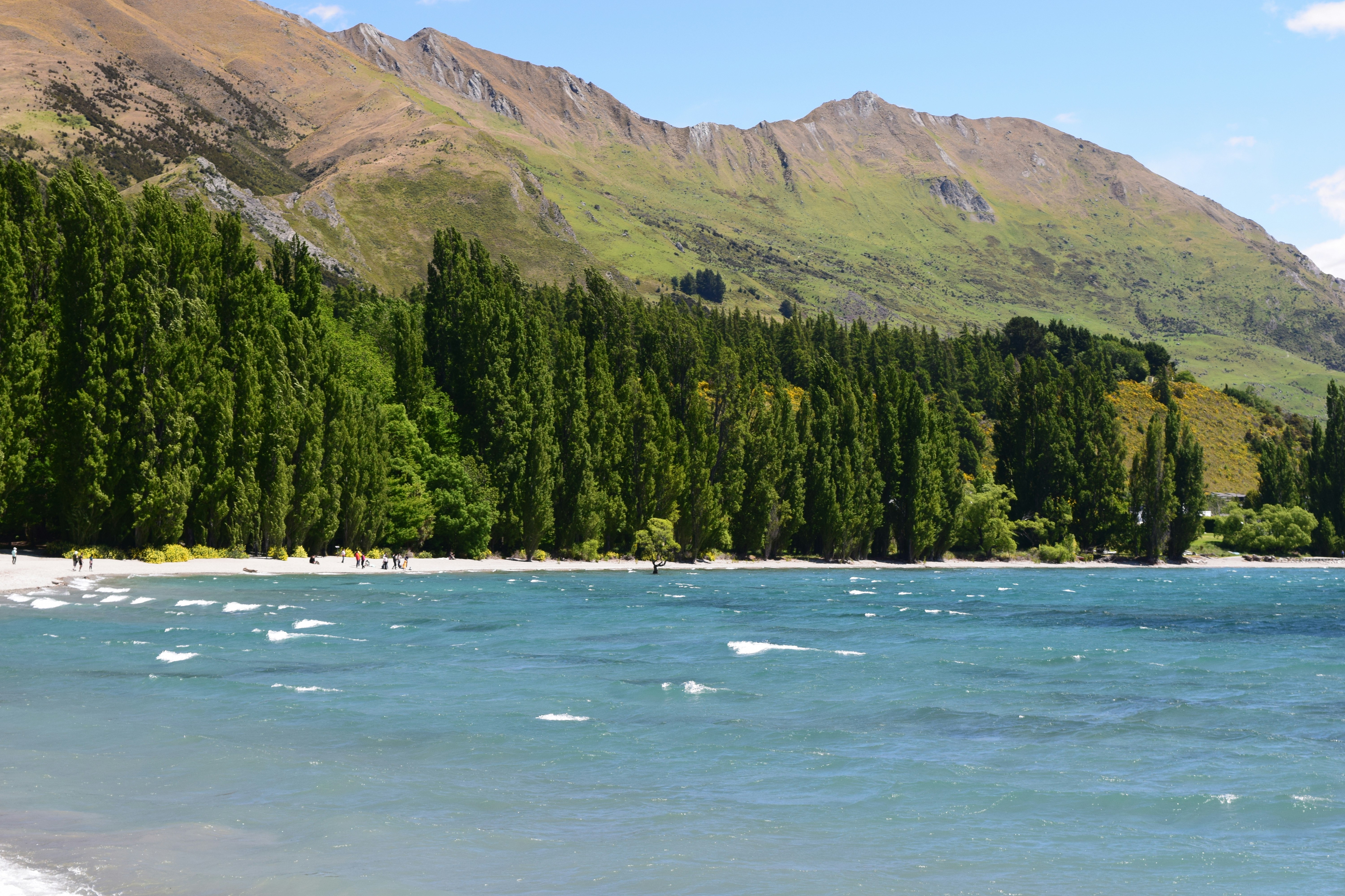 Lakeside Alpine Vista: Turquoise Water, Pine Shore, and Distant Peaks