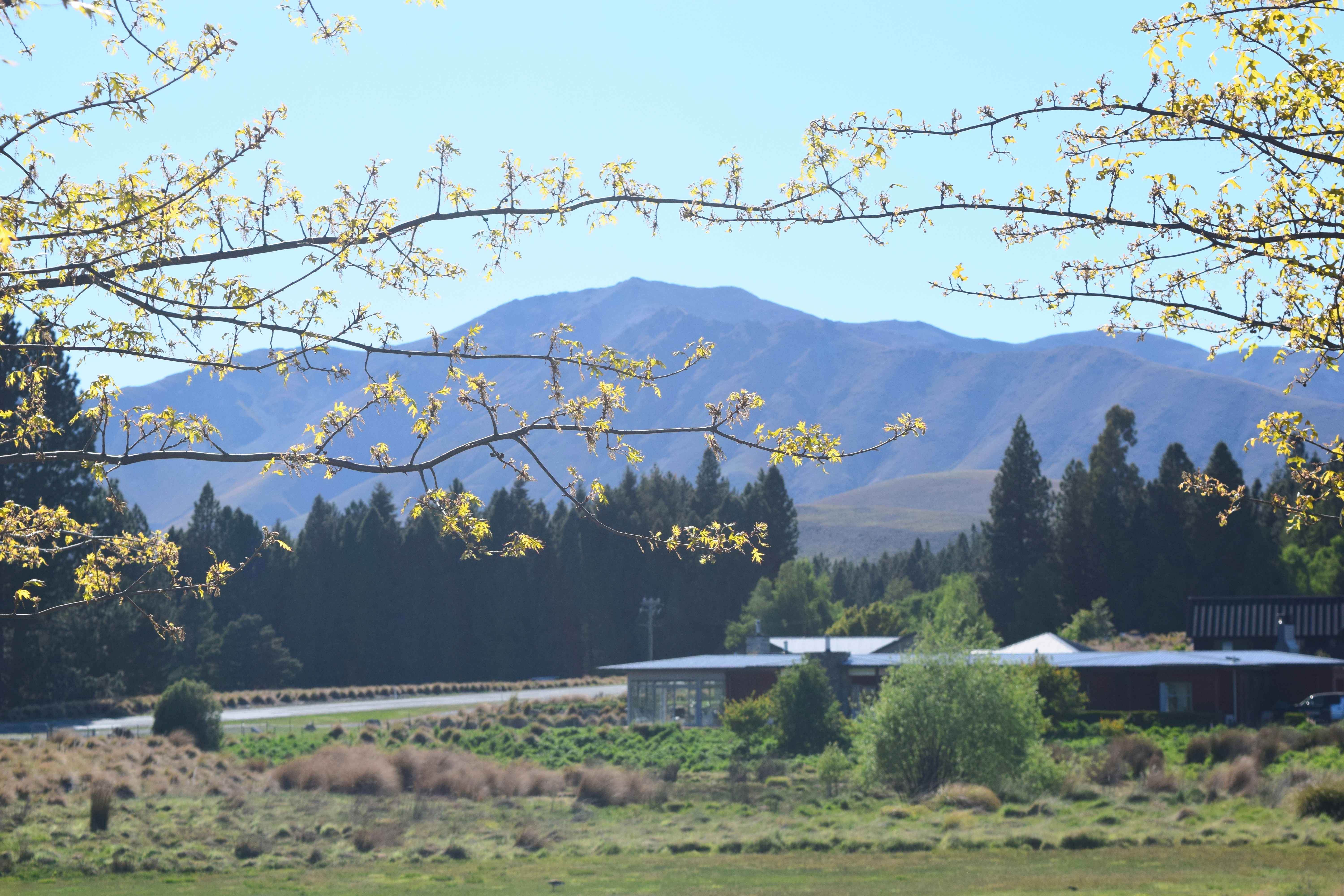 Distant Blue Ridges Framing a Quiet Farmstead