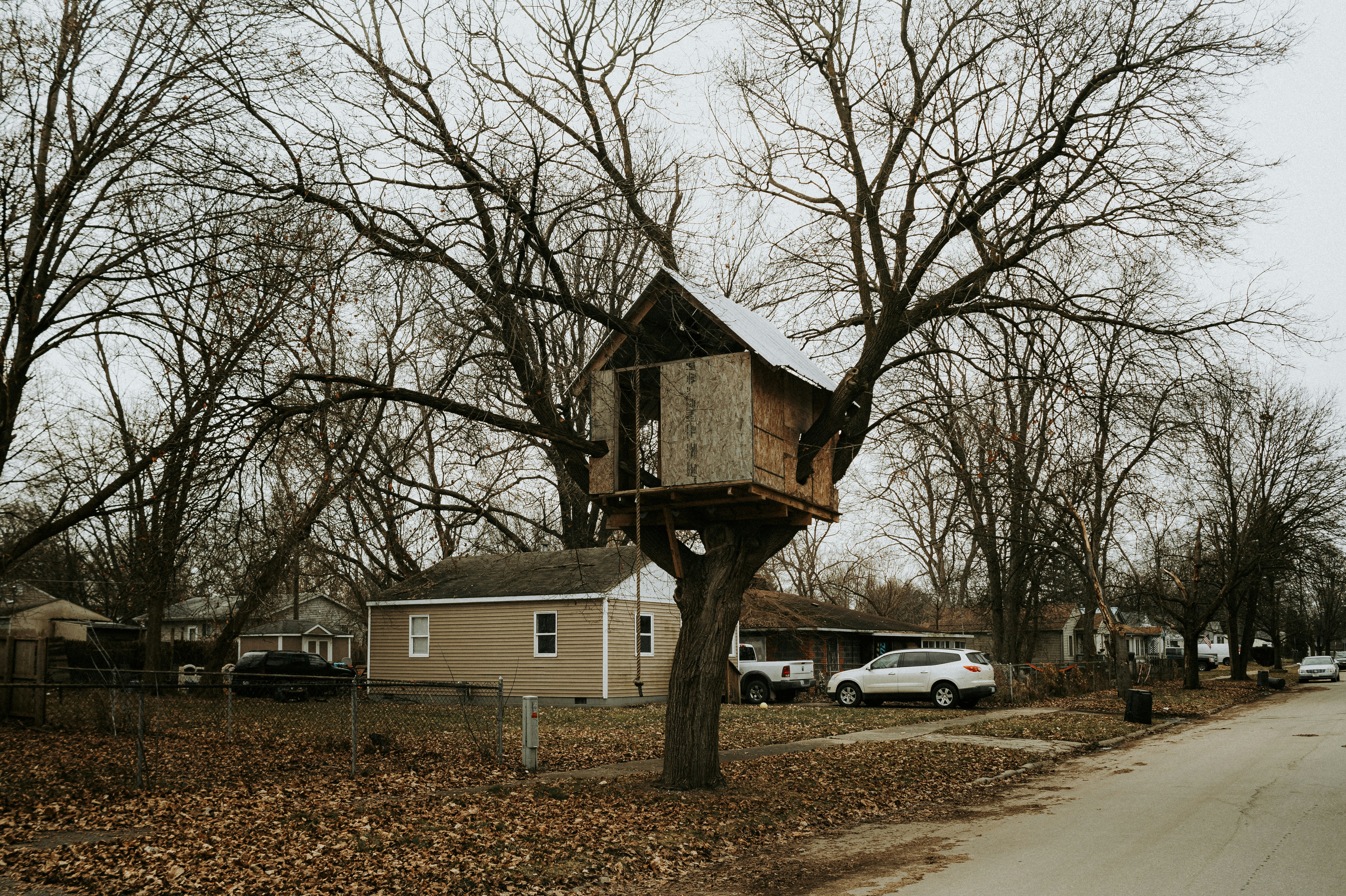 Elevated Hideaway: A Wooden Treehouse Overlooking a Quiet Suburban Lane