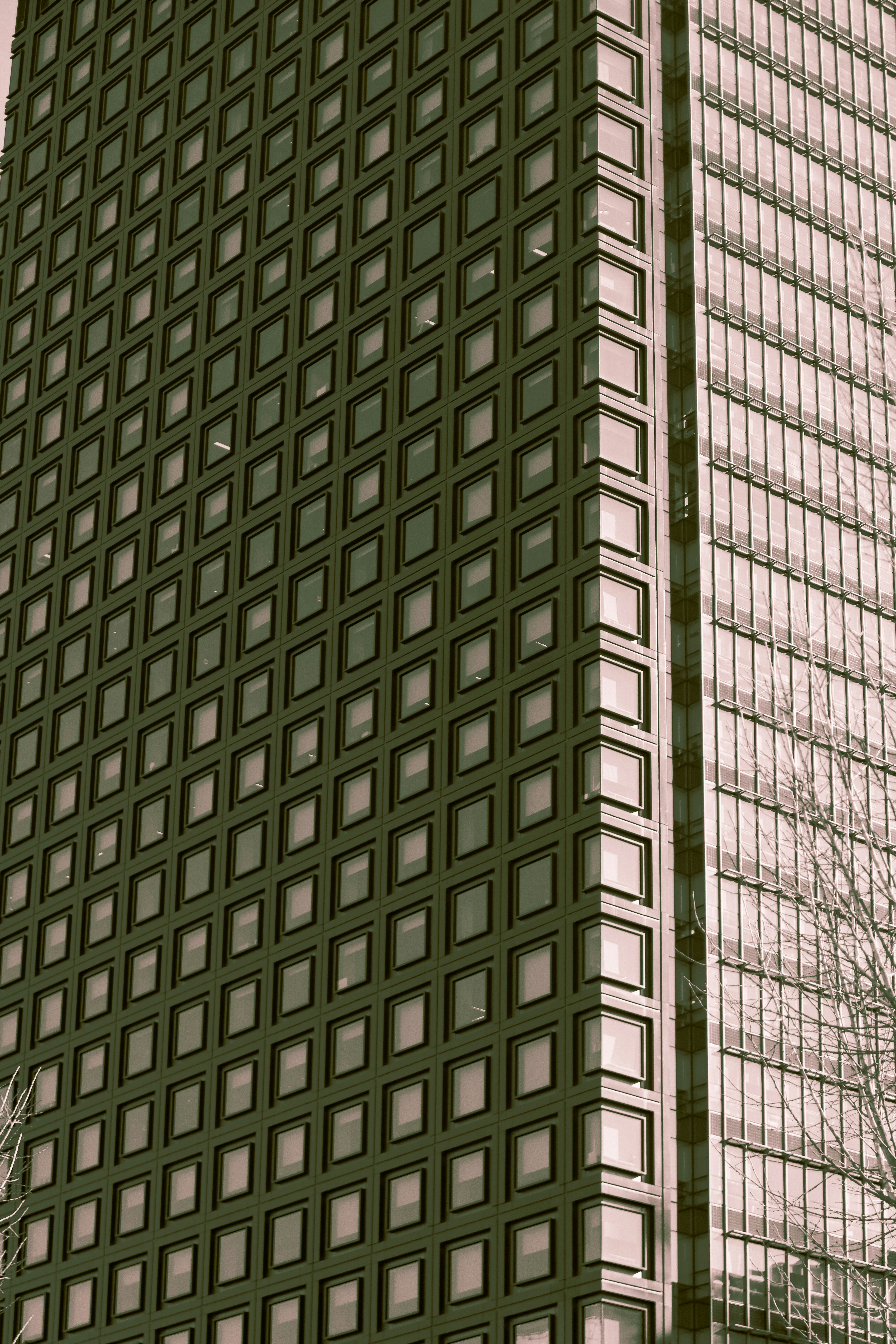 Cornered Geometry: Grid Facades Converge in Steel and Glass