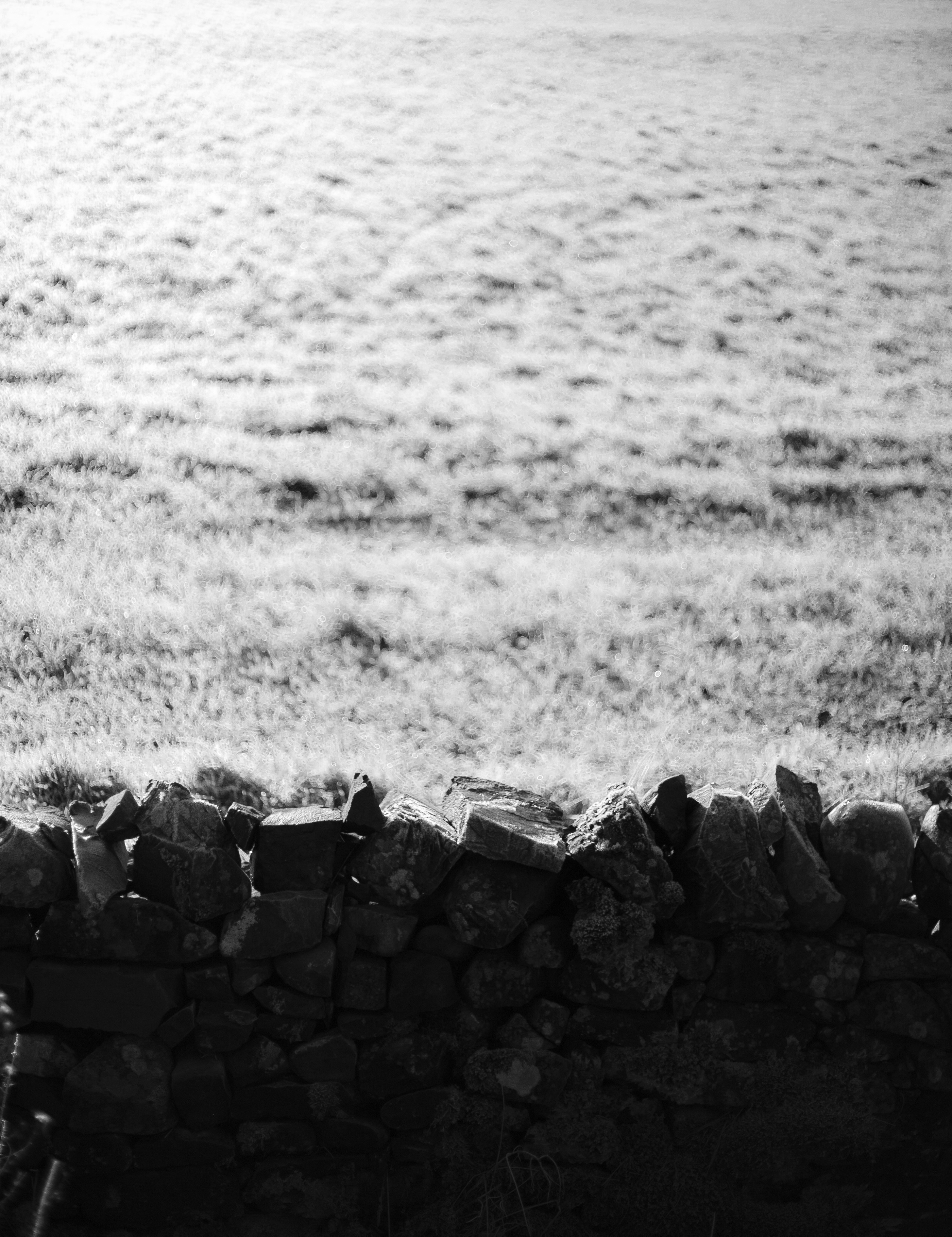 Stone Wall at Dusk: Layers of Field and Shadow