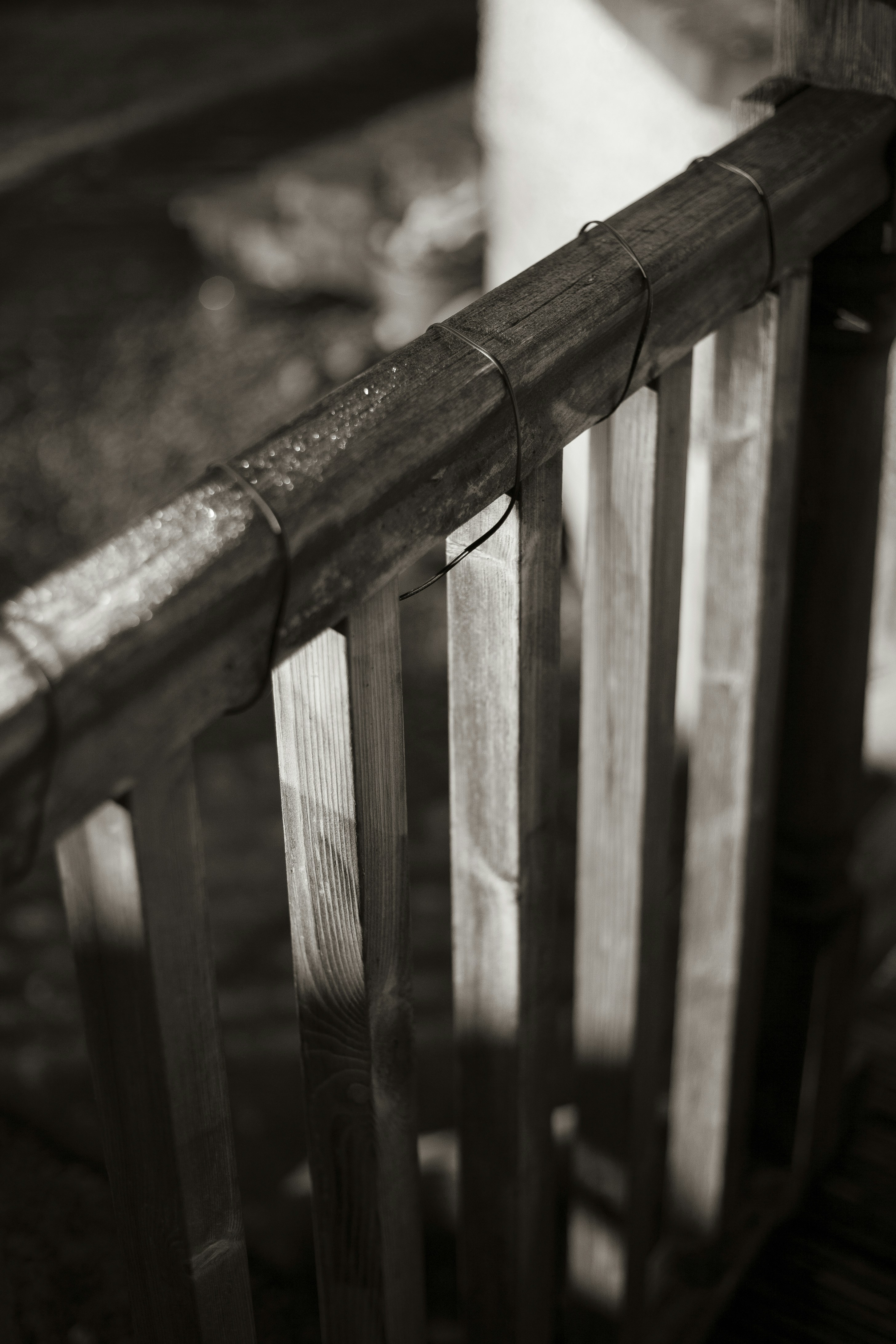 Photo by Jonathan Cosens Photography with CANON EOS 5D