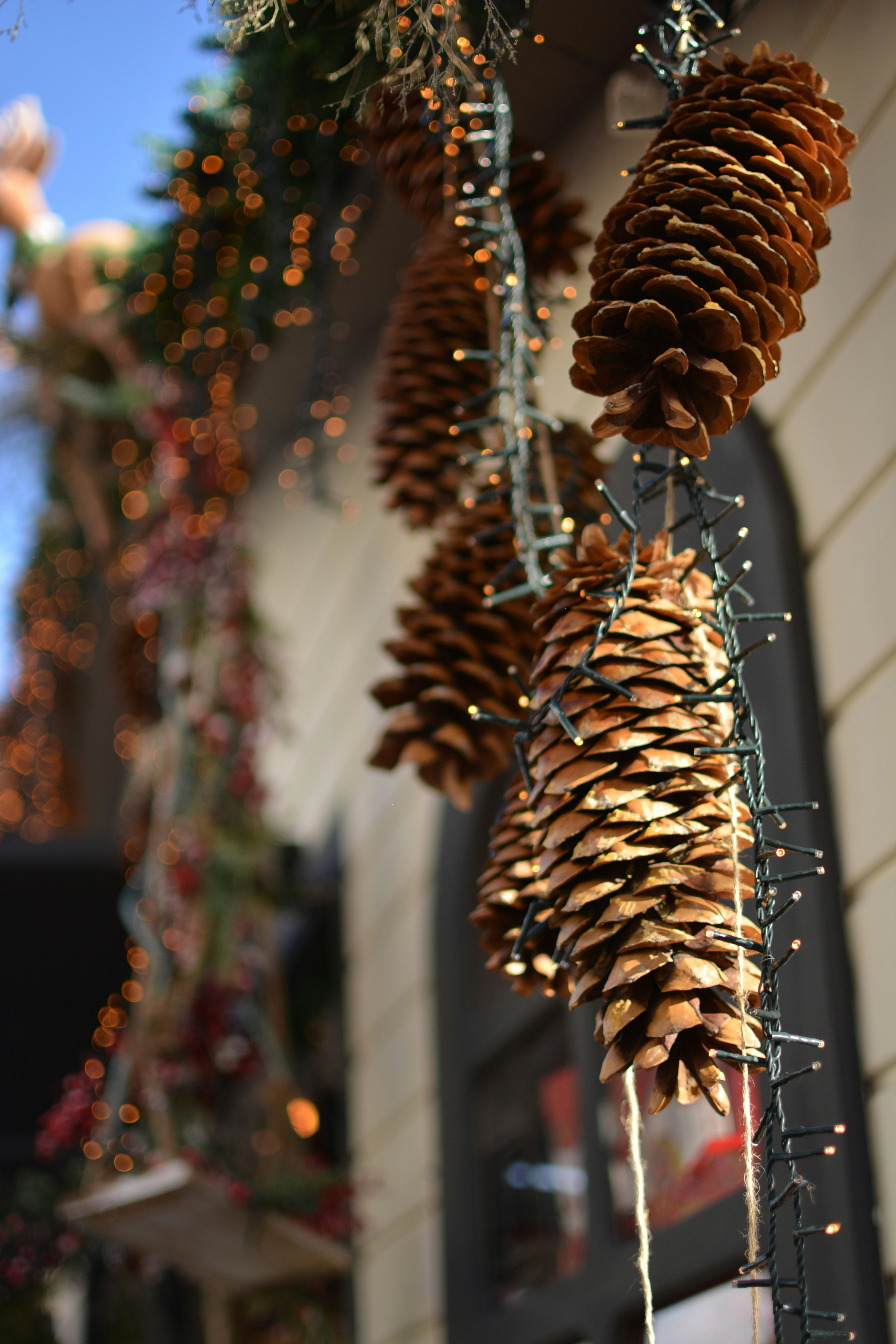 Cascade of Pinecones and Fairy Lights