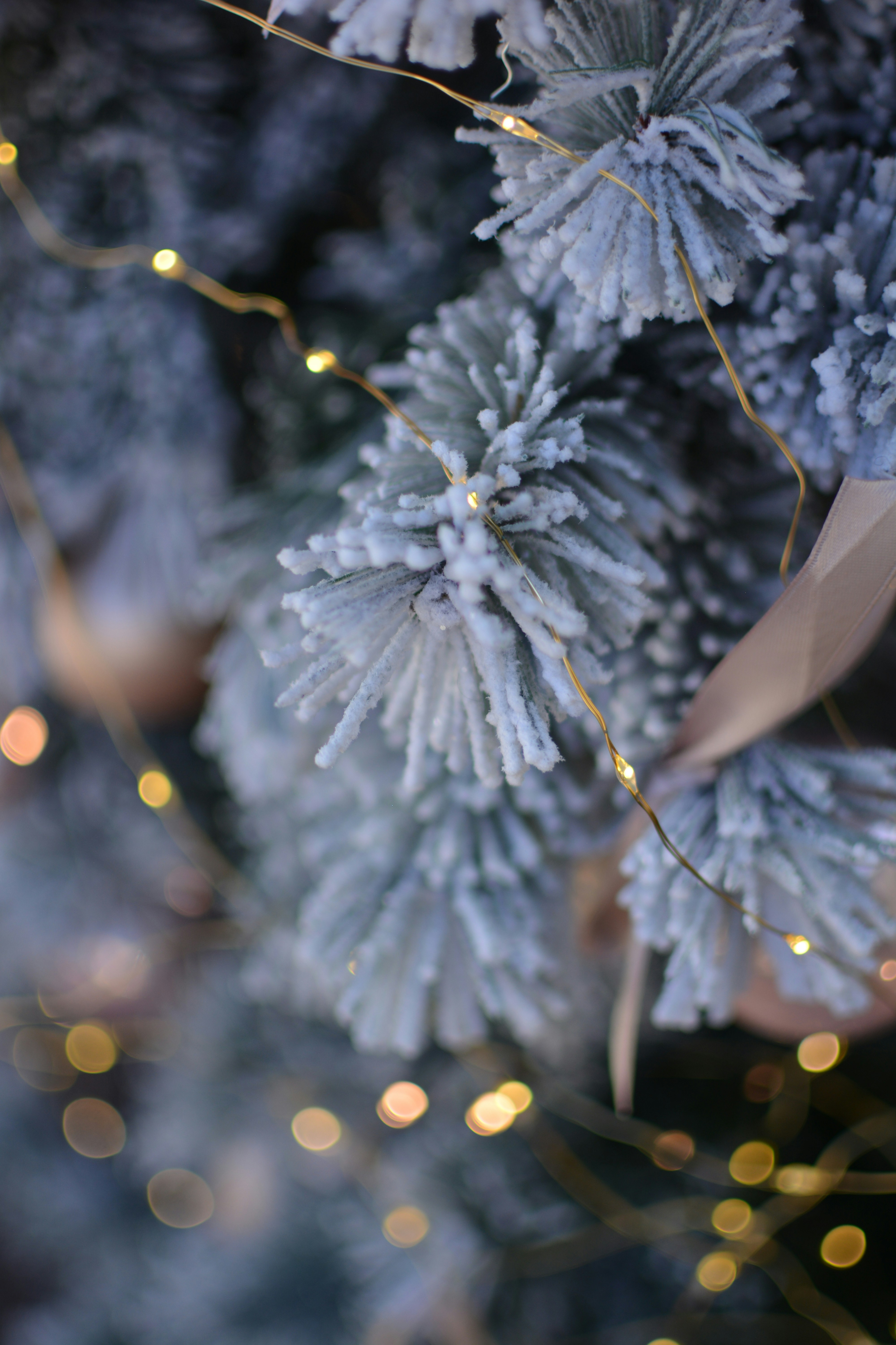 Photo by Nikole Butvilate with Nikon D5200