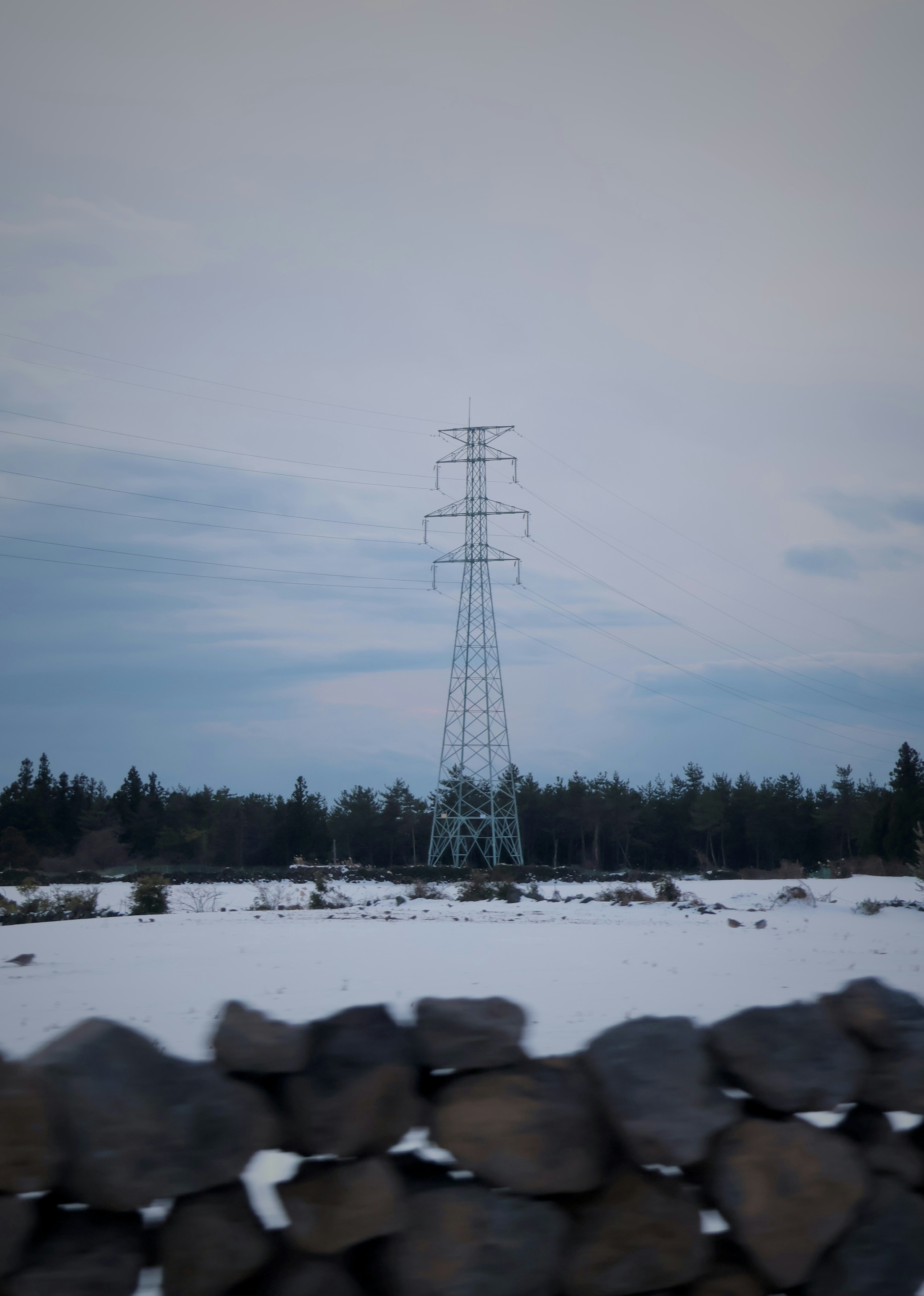Power Line Sentinel Across Snowy Plain