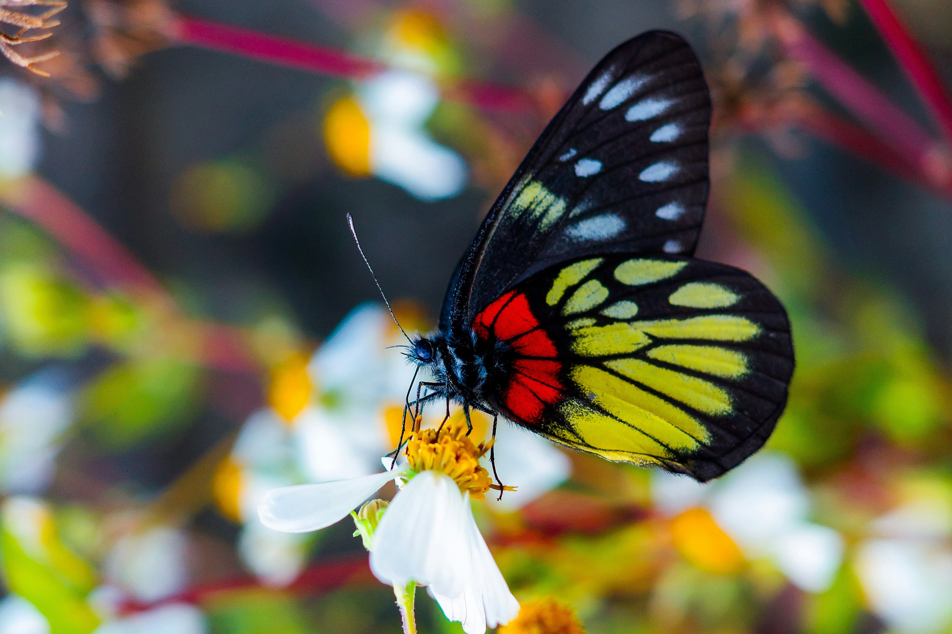 Ts Lui Tslui Unsplash Photo Community