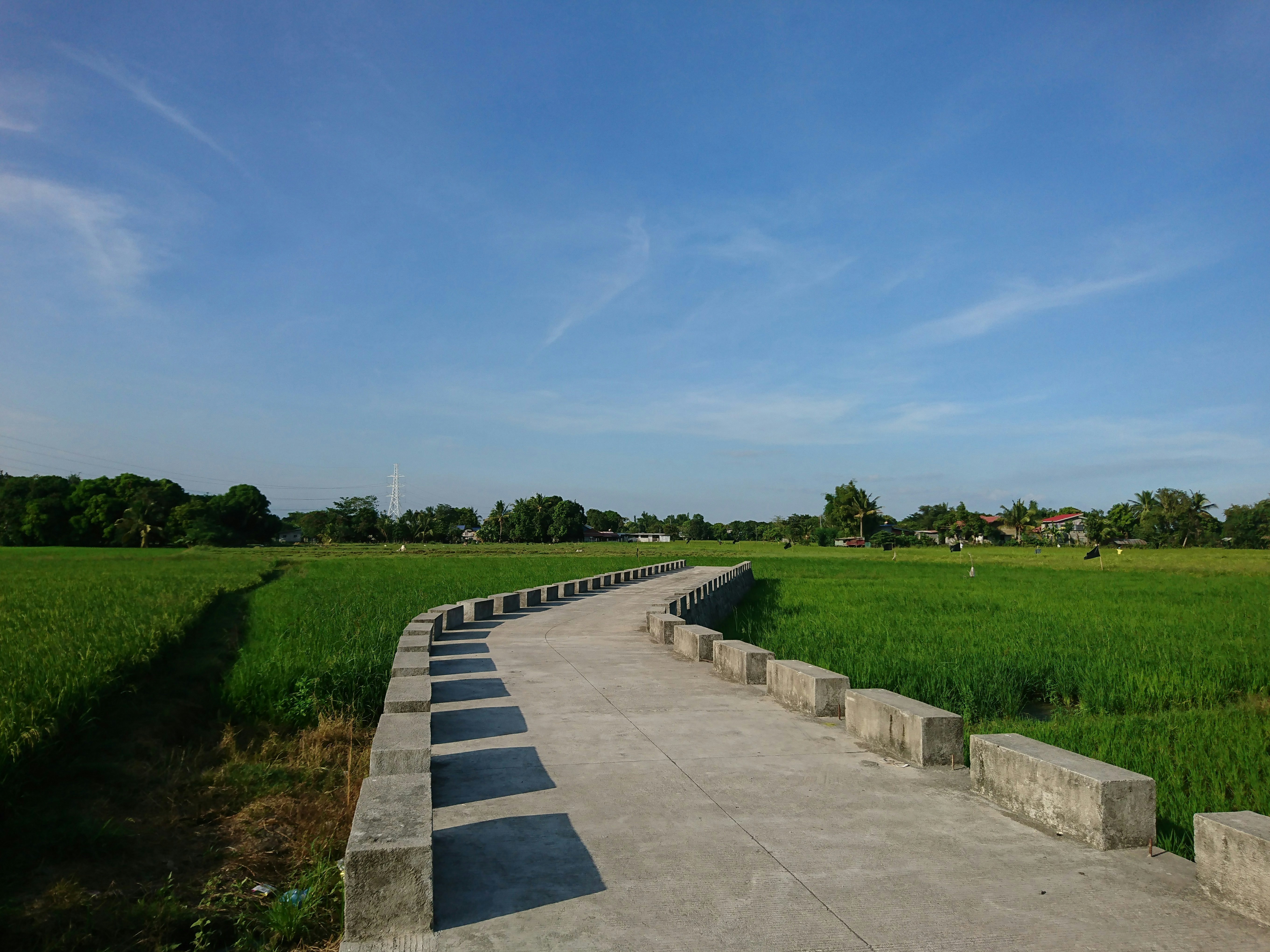 Photograph capturing a curved concrete path winding through lush green fields toward a distant village under a clear blue sky.