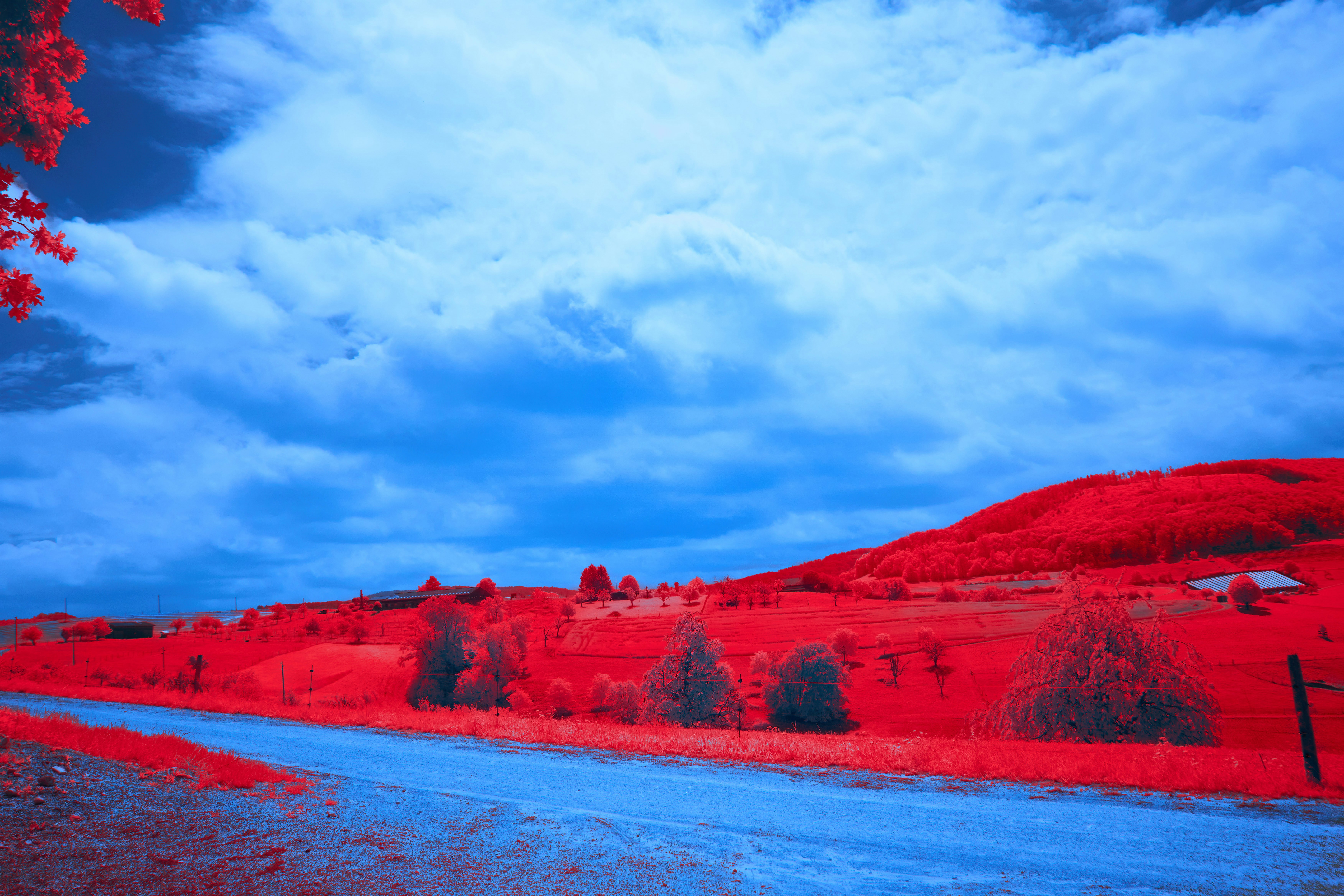 Crimson Prairie under a cobalt sky: infrared landscape along a quiet road