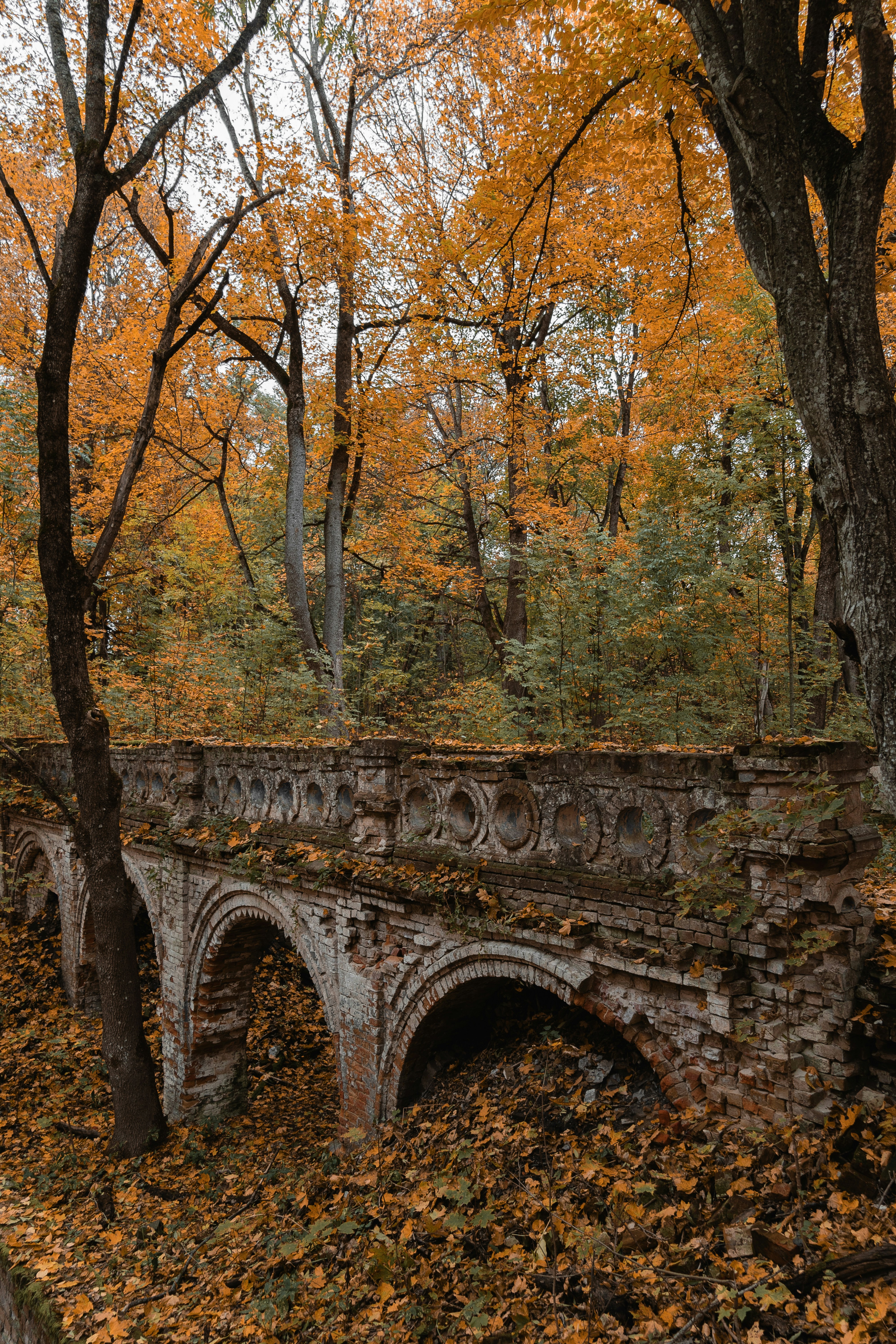 Amber Arches: An Autumnal Portrait of a Mossy Stone Bridge