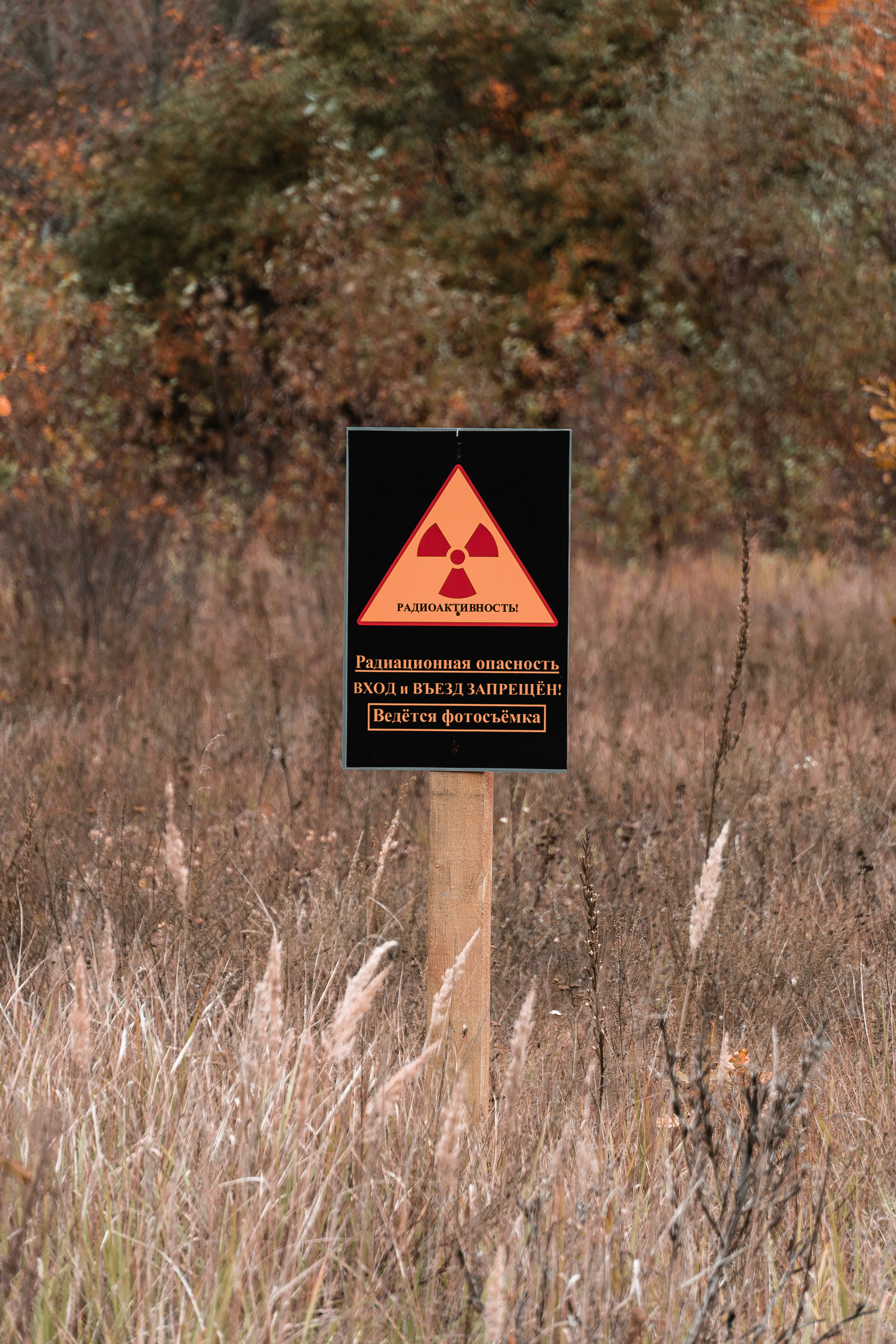 Warning Sign in a Quiet Field