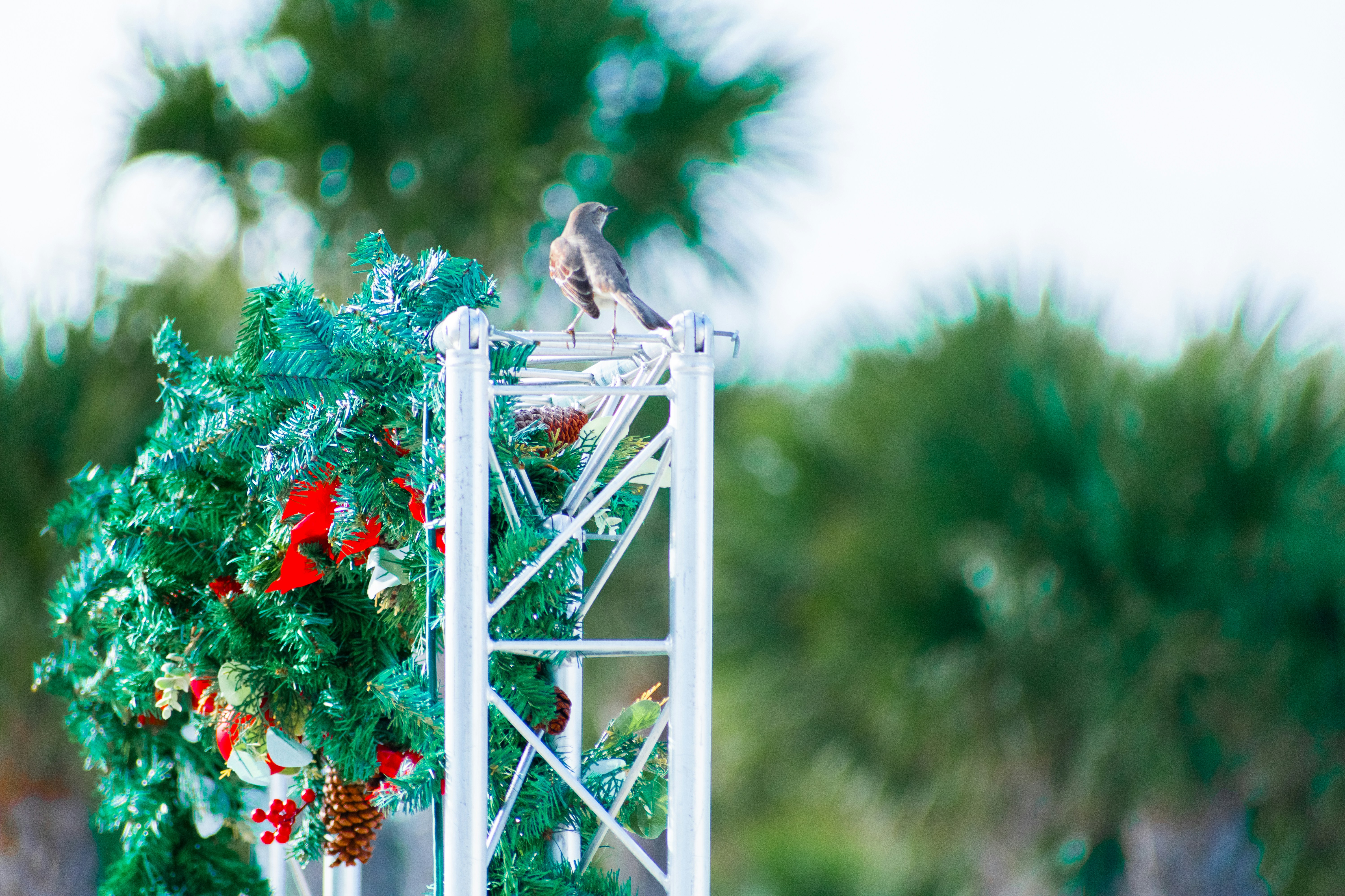 A bird perched atop a festive decoration adorned with greenery and ornaments, set against a blurred tropical backdrop.