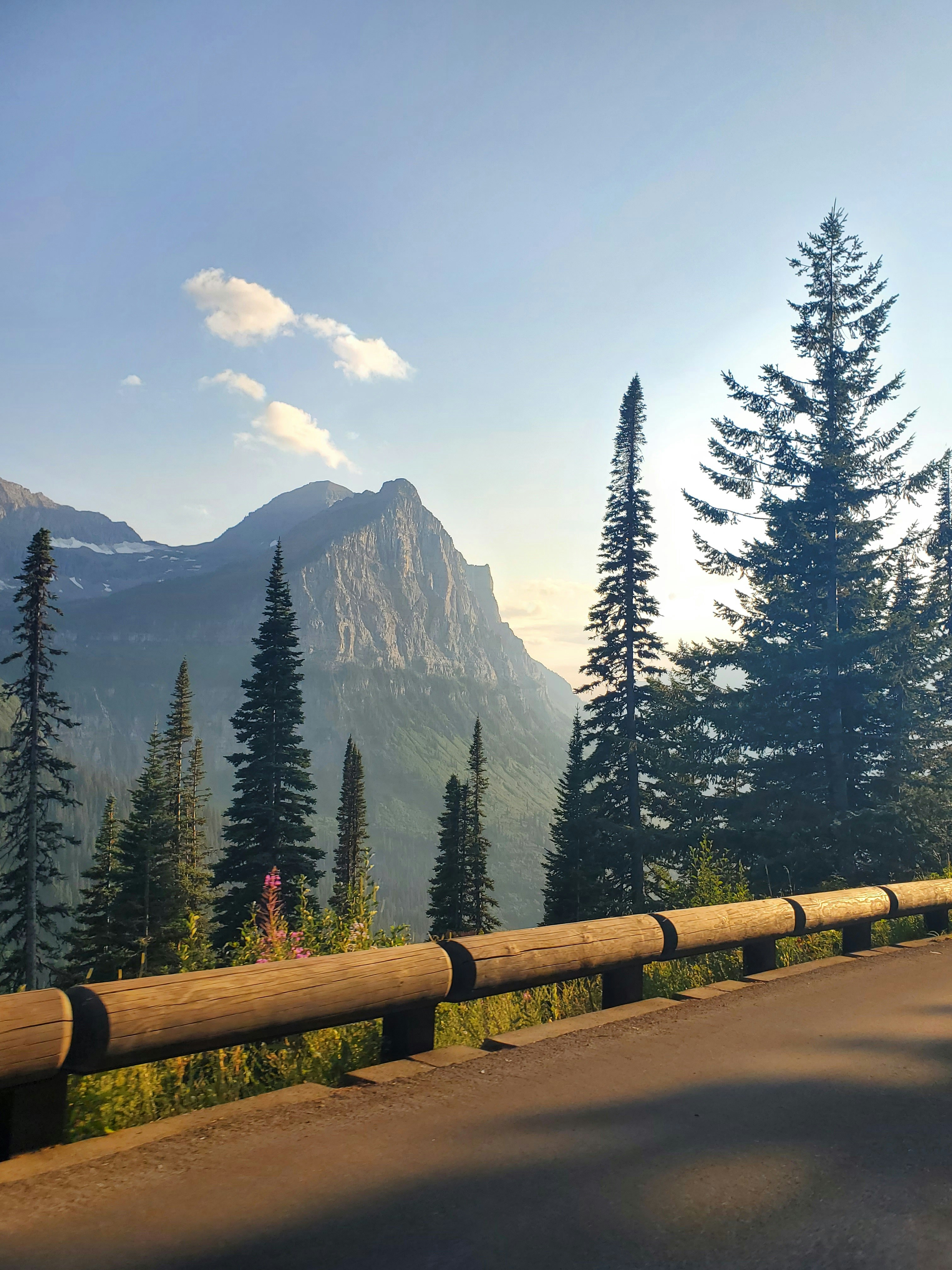 Dawn Light on Sentinel Peak: Pines Framed by a Mountain Road
