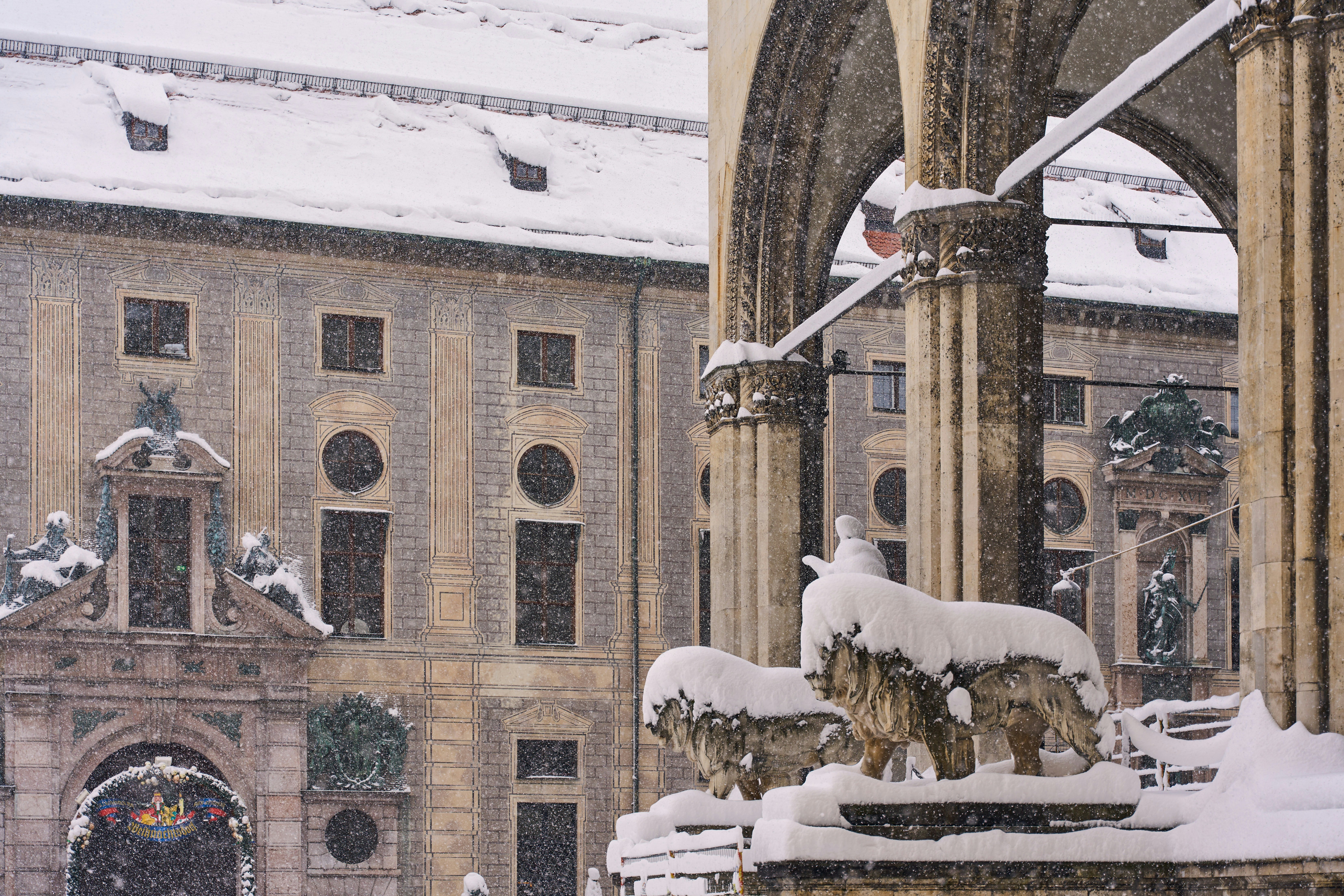 Photo by Lukas Seitz with Sony Alpha 7 IV