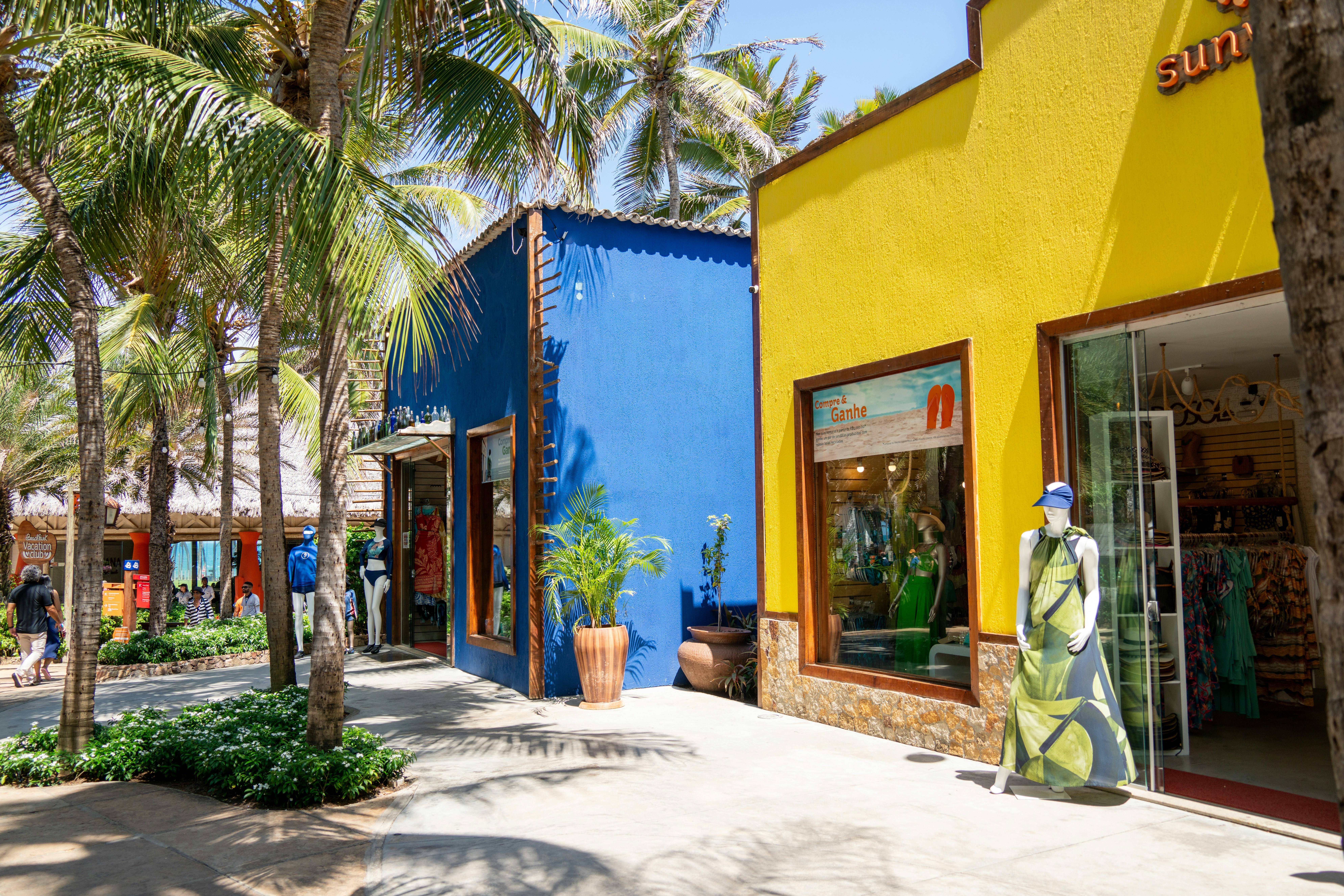 A store front with palm trees in front of it photo – Free Beach park ...