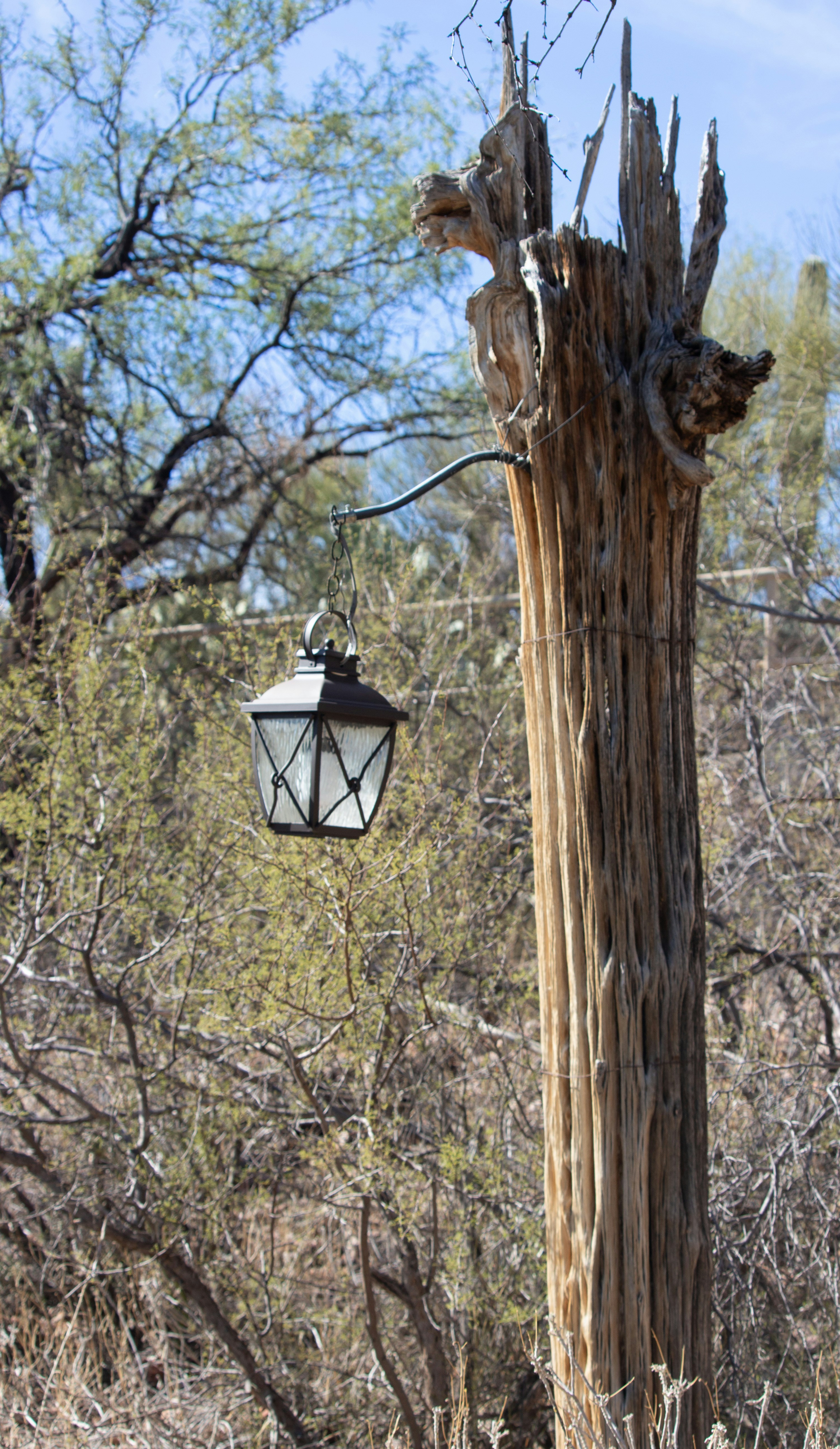 Lantern on a Weathered Post Cast Against Desert Scrub
