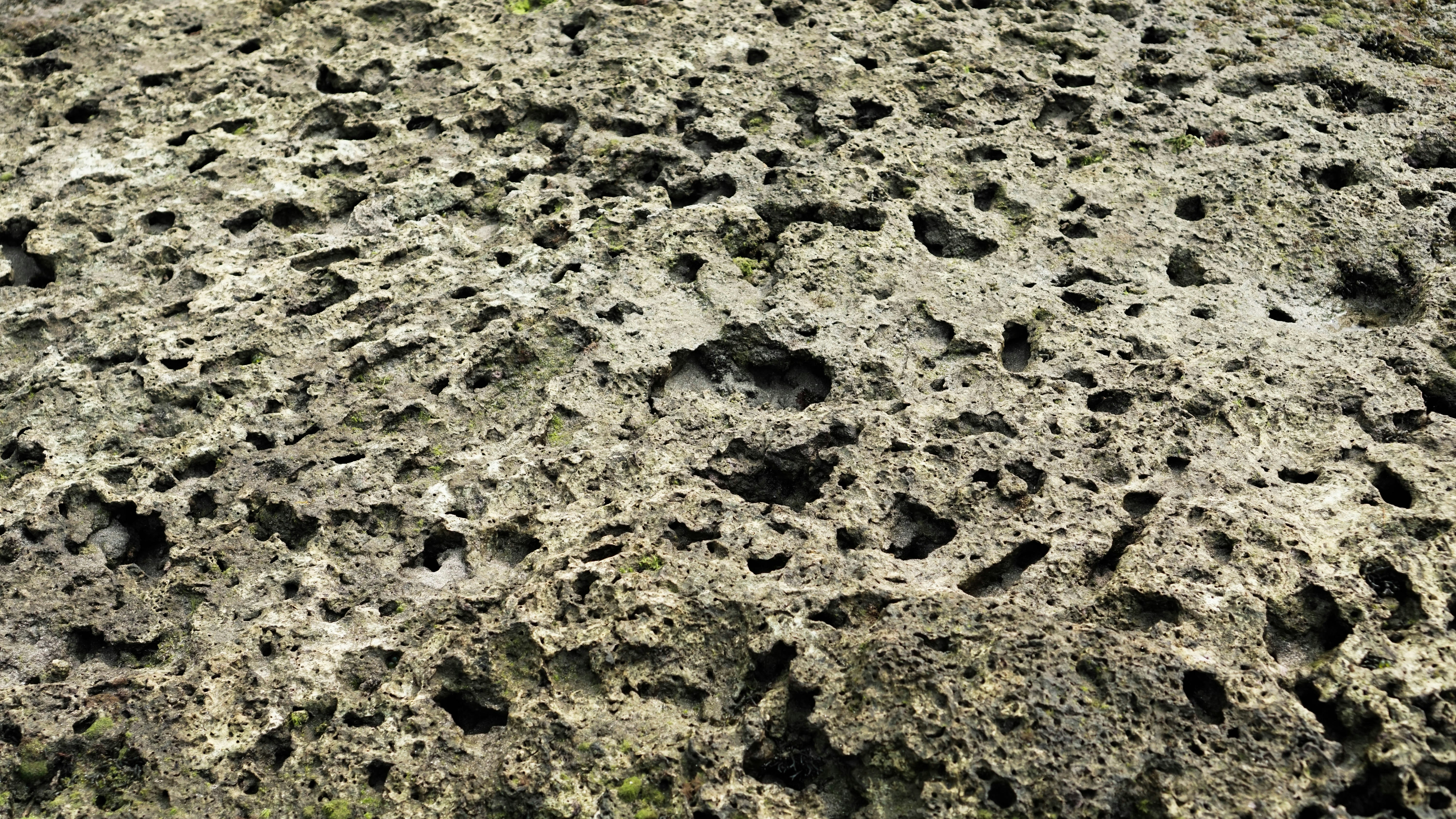 A close up of a rock with holes in it photo – Free Abstract Image on ...