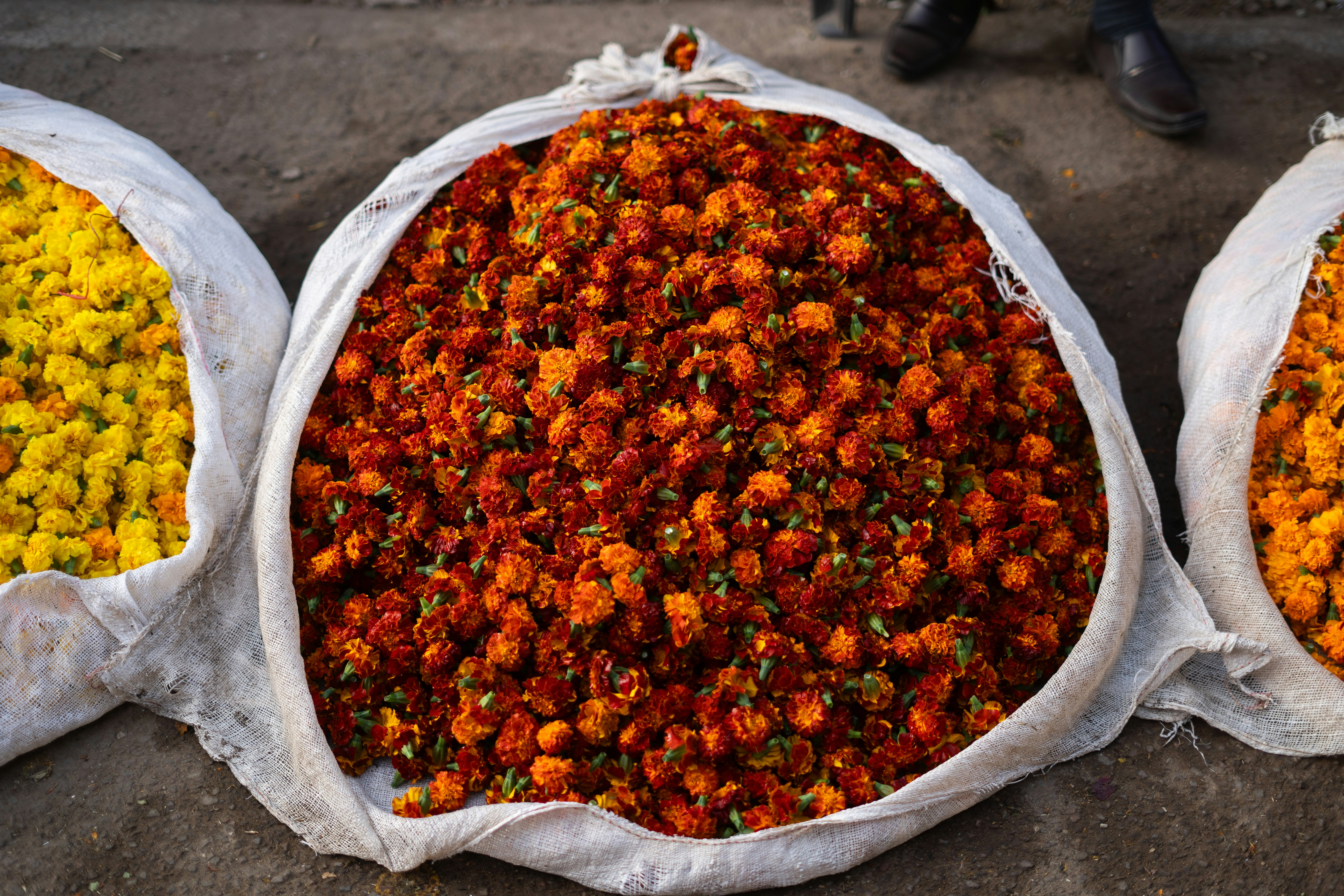 Market Bounty: Vibrant Mounds of Spice-Red Cauliflowers Ready for Sale