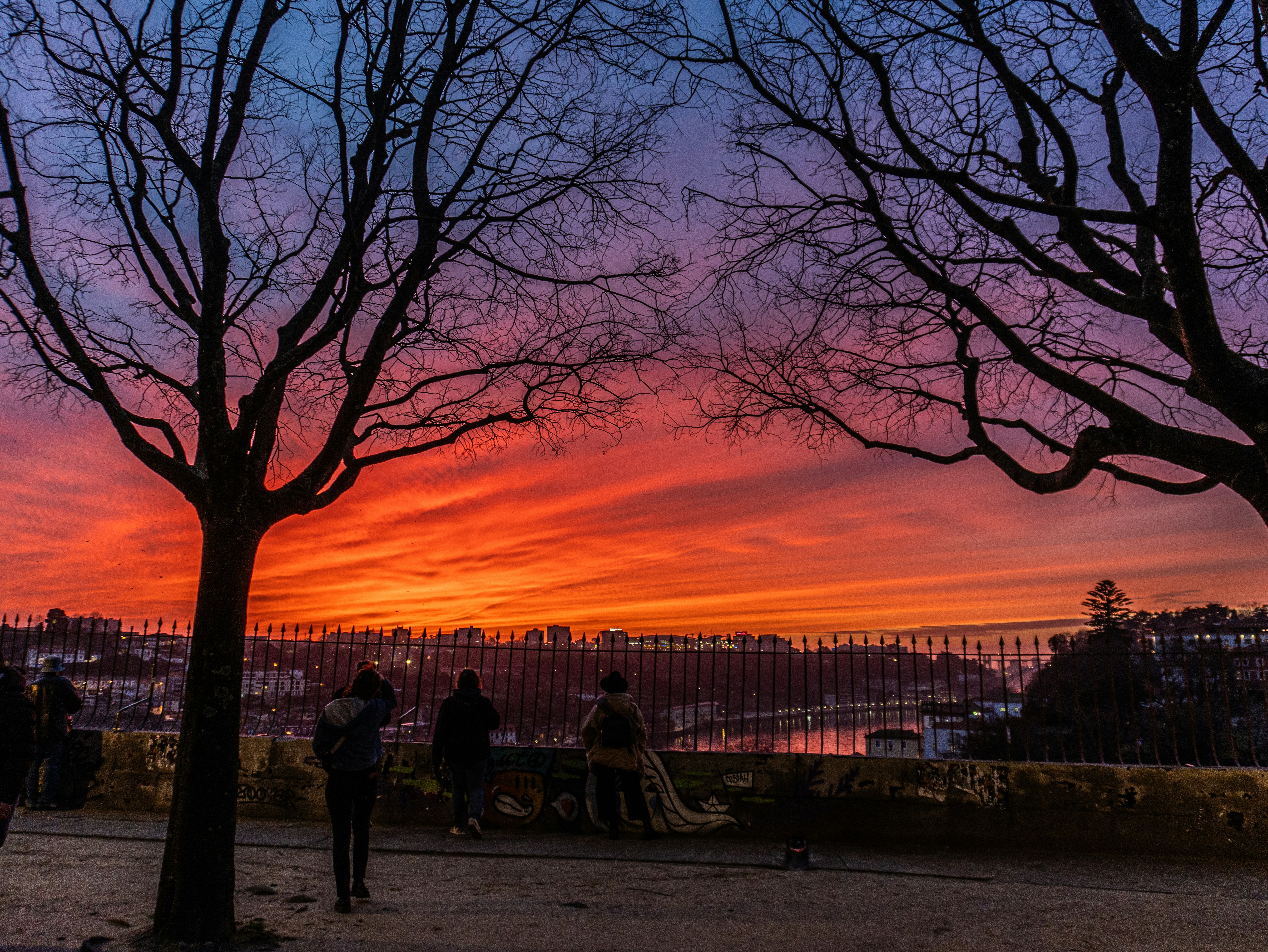 A group of people standing next to a tree photo – Free Parque das ...