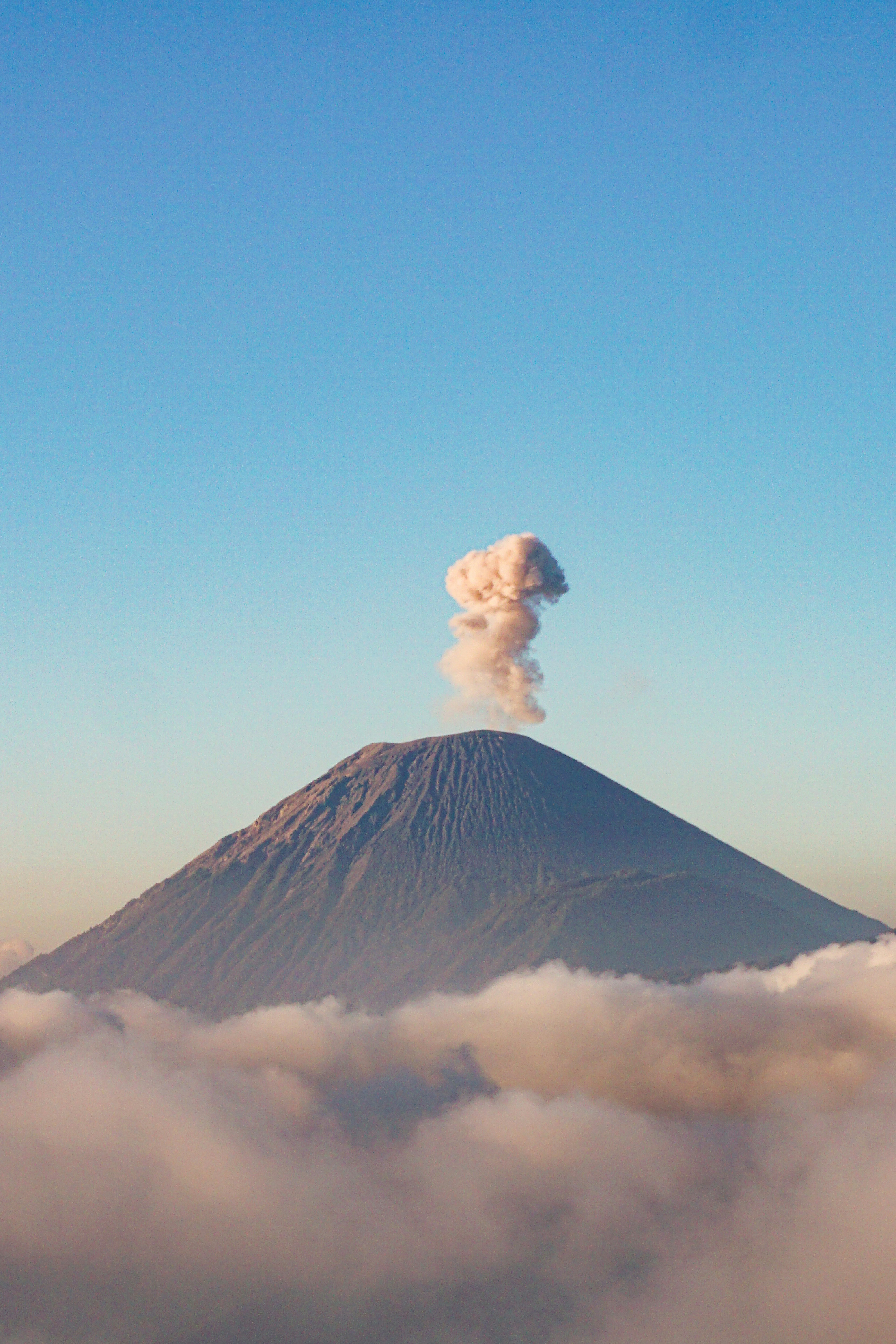 Volcano summit emitting a plume of smoke above a sea of clouds under a clear blue sky.